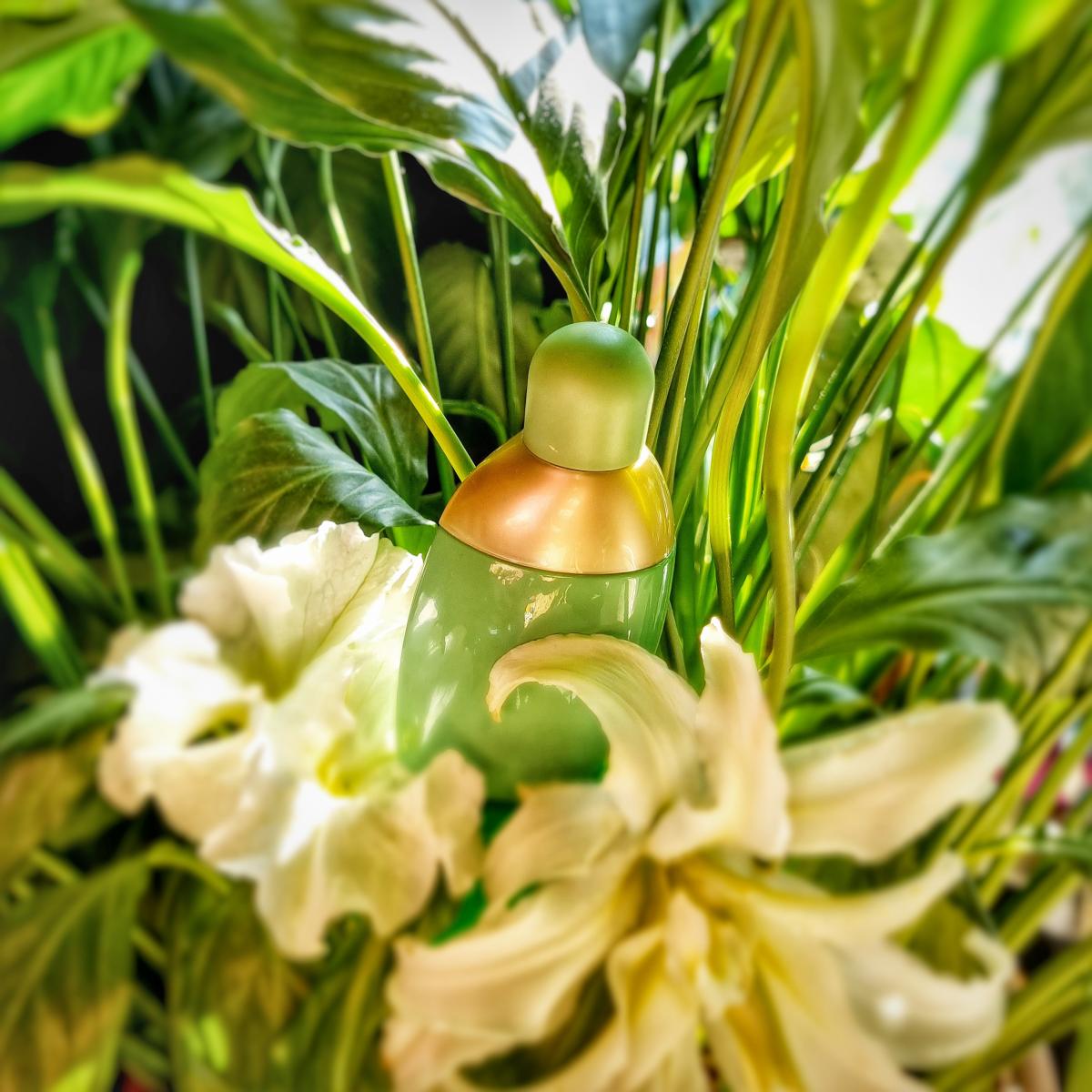 Eden Cacharel perfume - a fragrance for women 1994