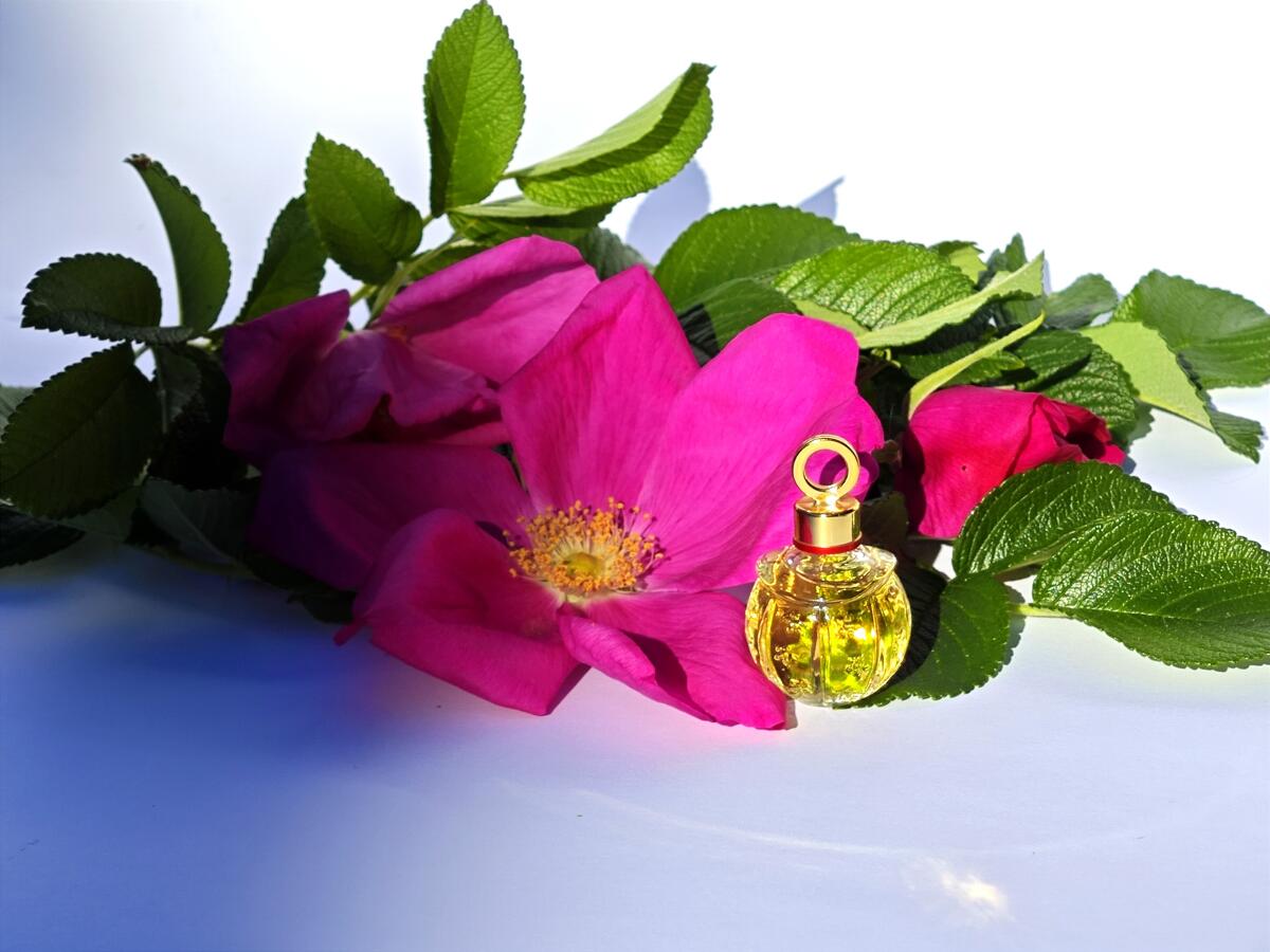 Magic Celine perfume - a fragrance for women 1996