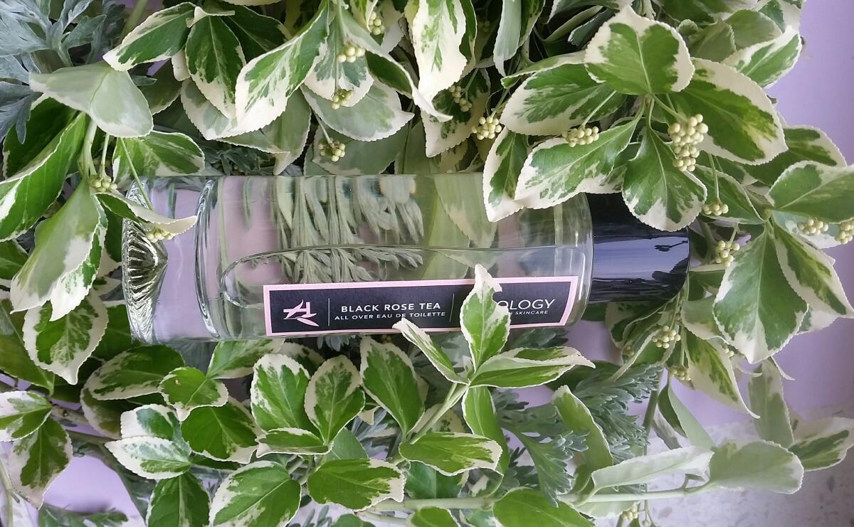 Black Rose Tea Teaology perfume - a fragrance for women and men 2017