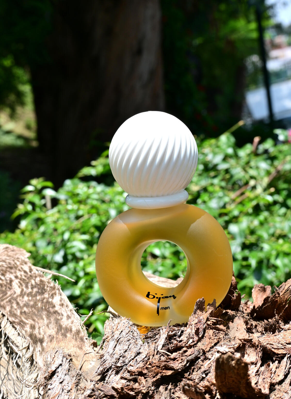 Bijan Men Bijan cologne - a fragrance for men 1987