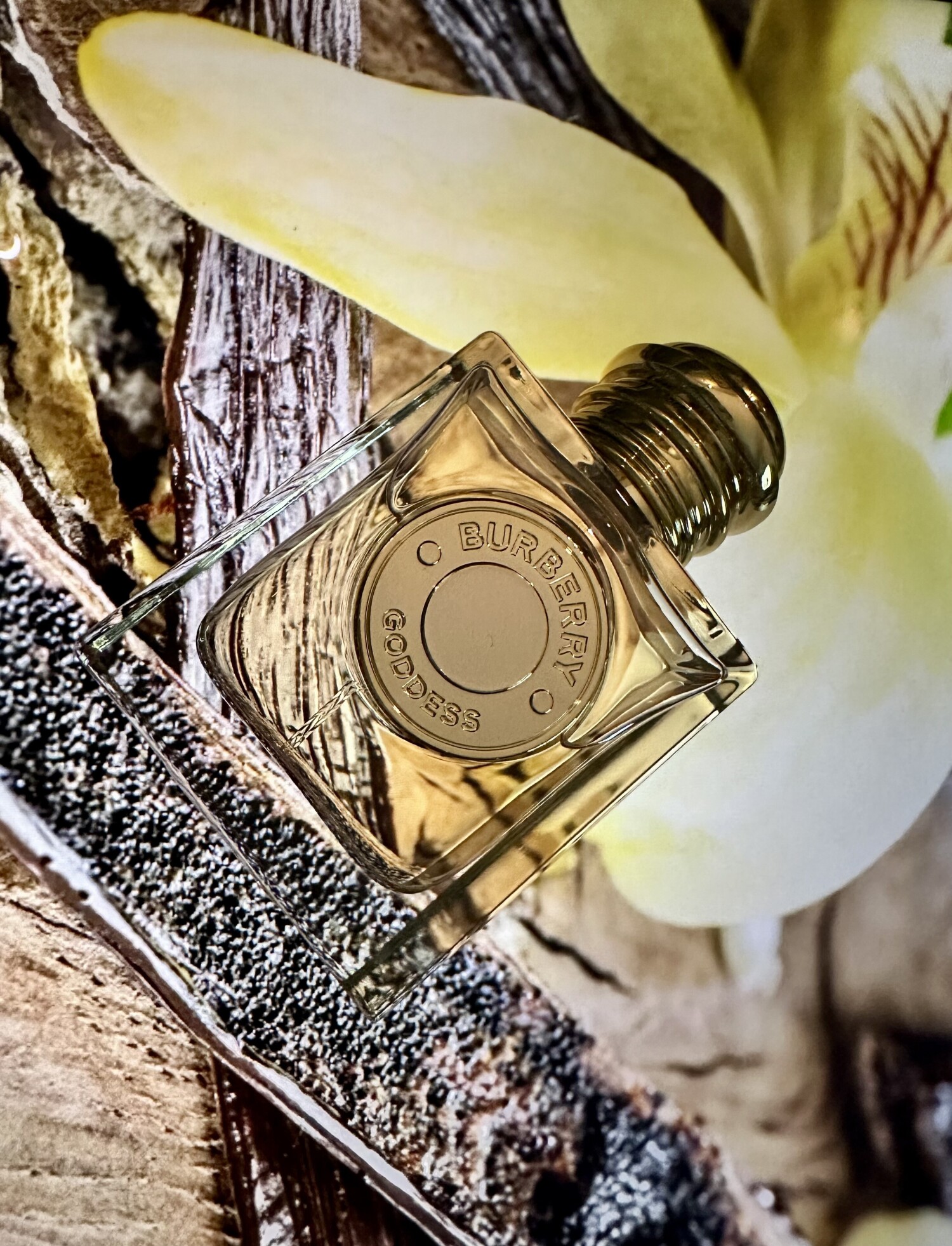 Goddess Burberry perfume - a new fragrance for women 2023