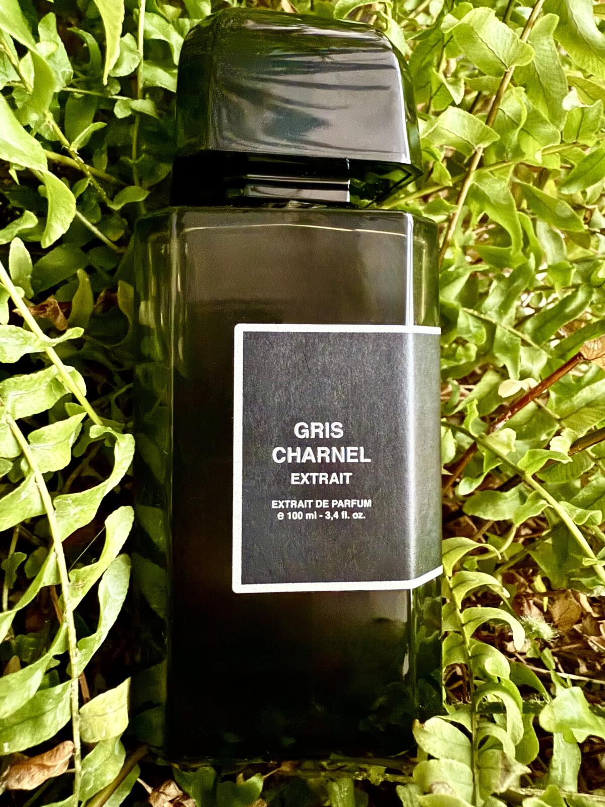 Gris Charnel Extrait BDK Parfums 香水 - 一款 2022年 中性 香水