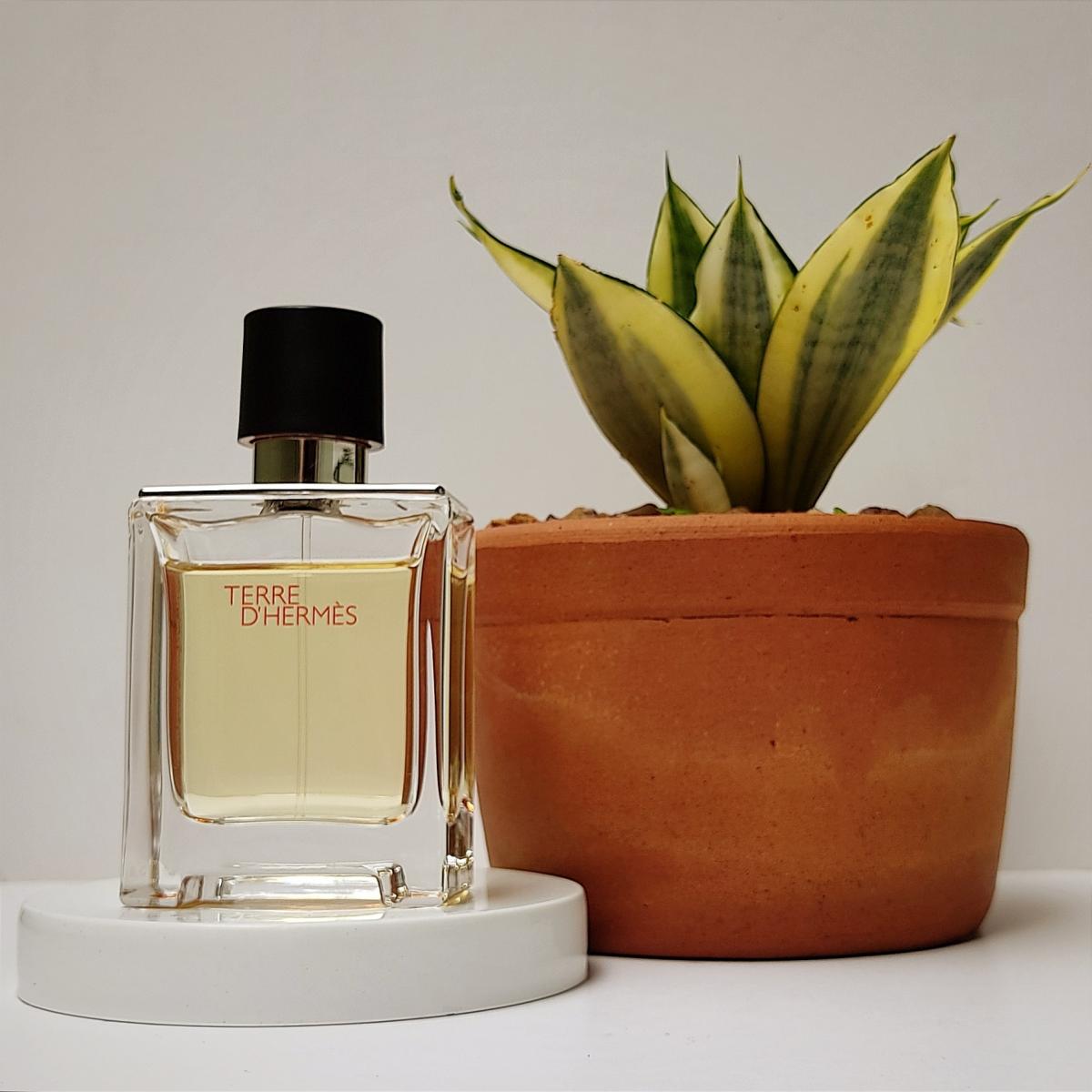 Terre d'Hermès Hermès cologne - a fragrance for men 2006