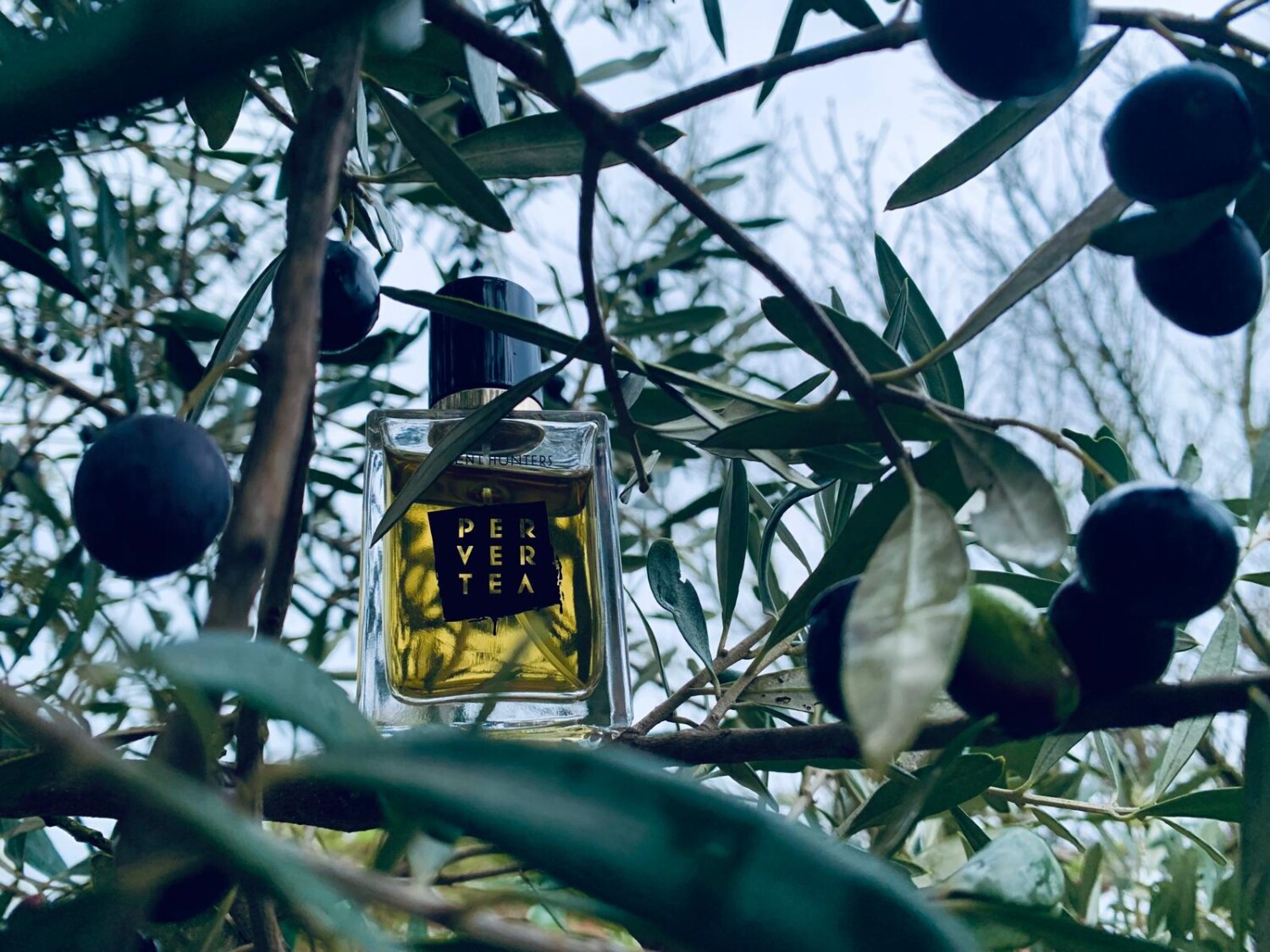 Pervertea Scent Hunters аромат - аромат для жінок та чоловіків 2023
