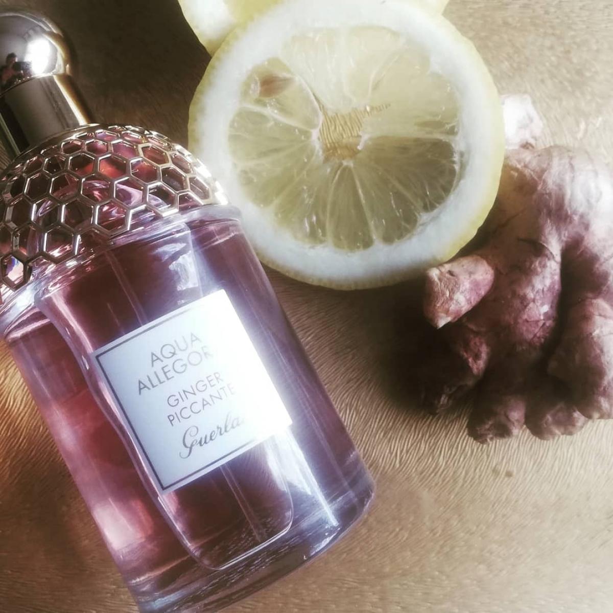 Aqua Allegoria Ginger Piccante Guerlain perfume - a fragrância ...