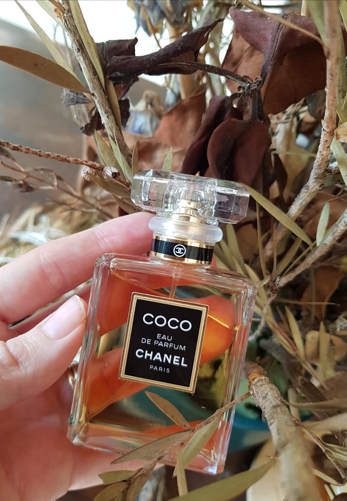 Coco Eau de Parfum Chanel perfume - a fragrance for women 1984
