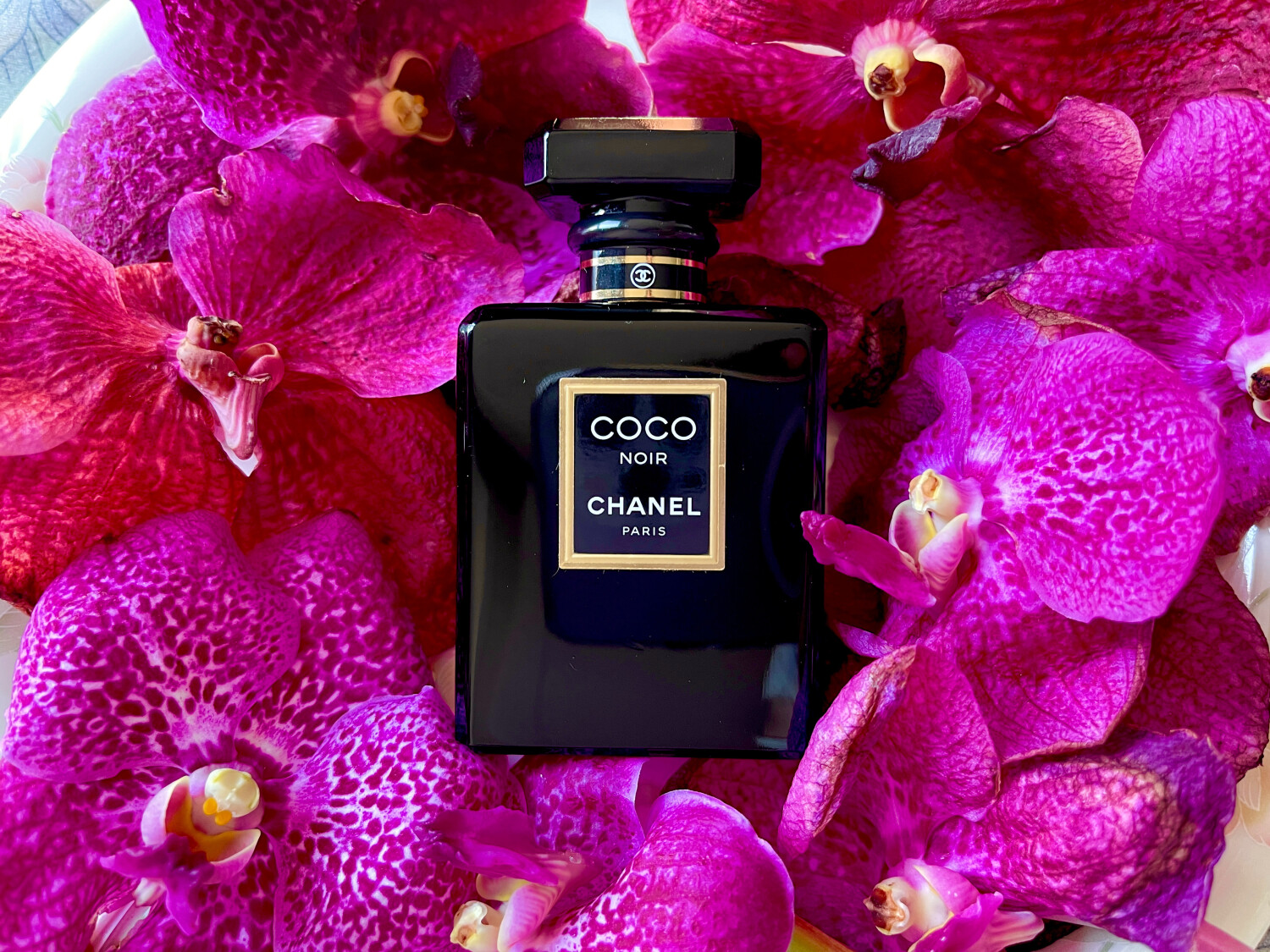 Coco Noir Chanel perfume - a fragrance for women 2012