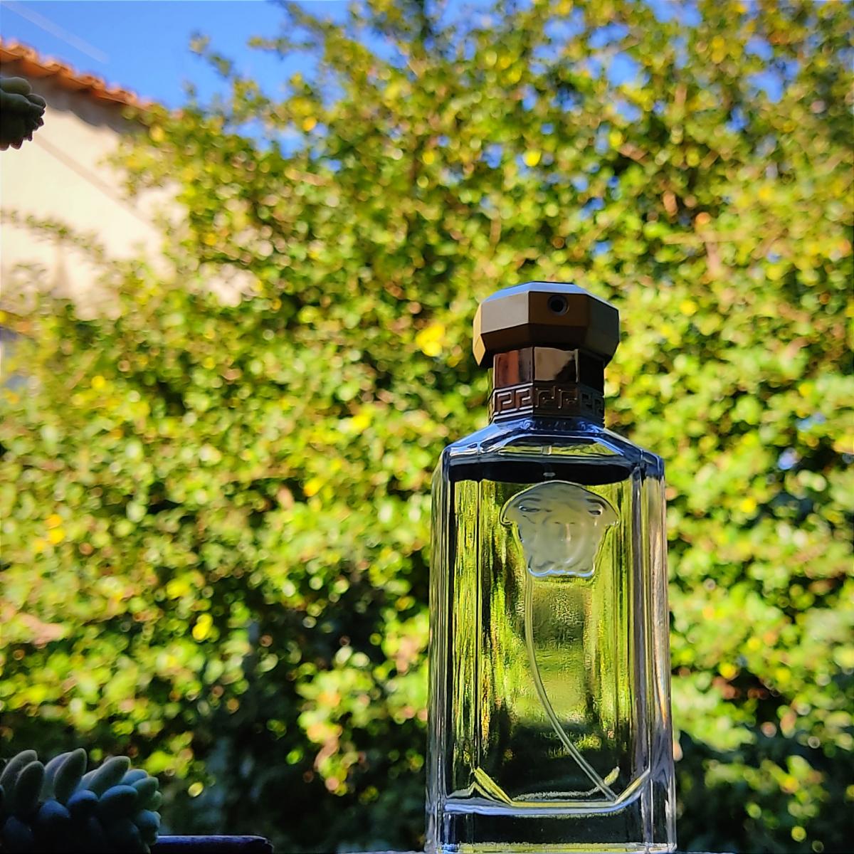 The Dreamer Versace cologne - a fragrance for men