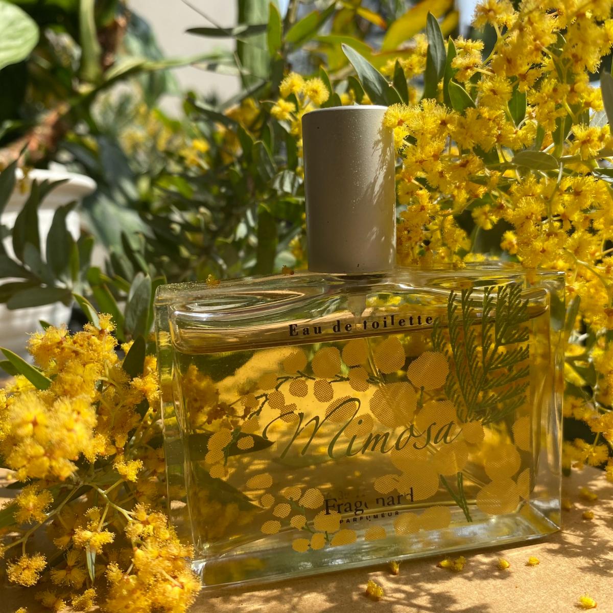 Mimosa Fragonard perfume - a fragrance for women 2010