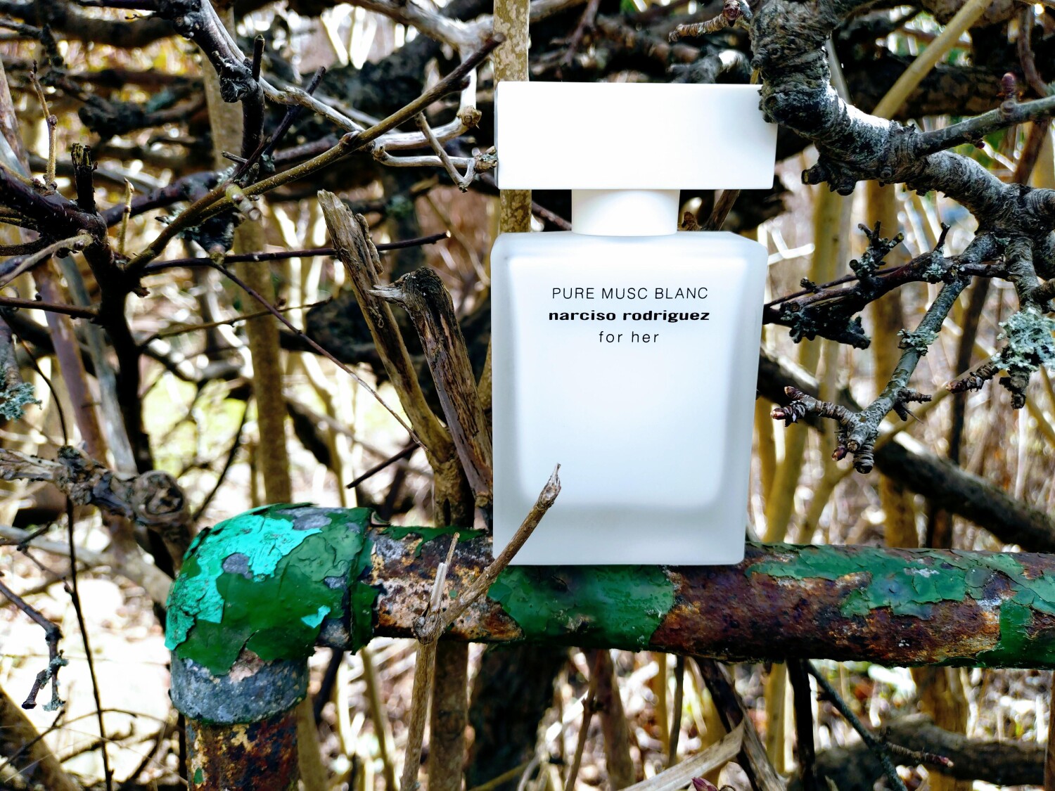 Pure Musc Blanc For Her Narciso Rodriguez perfume - a new fragrance for ...