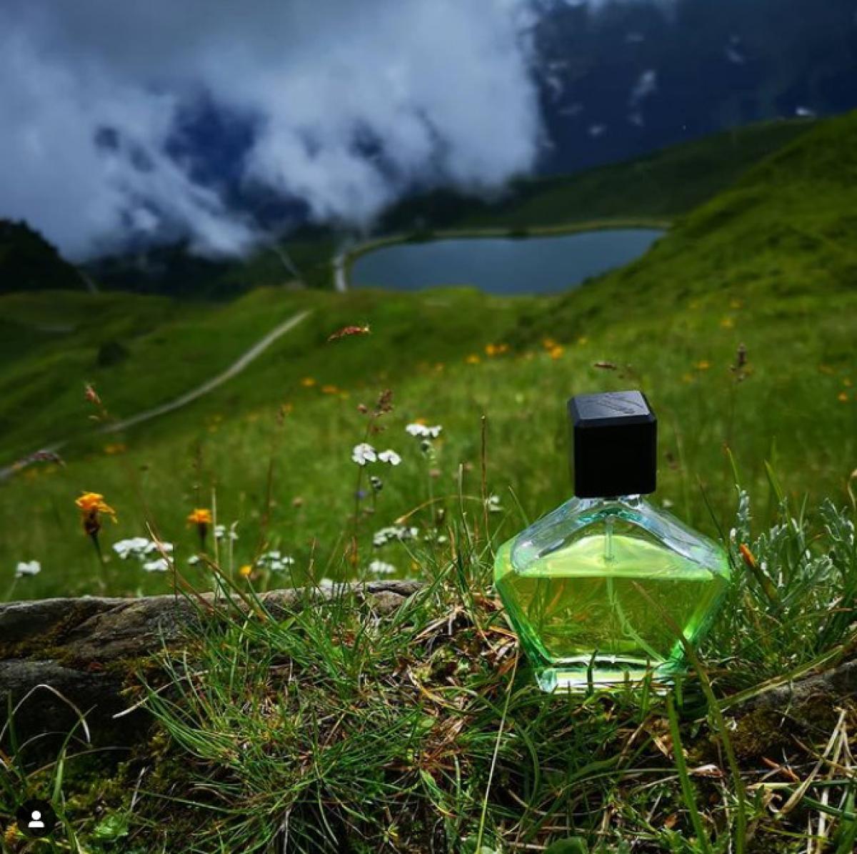 Pentachords Verdant Tauer Perfumes perfume - a fragrance for women and ...