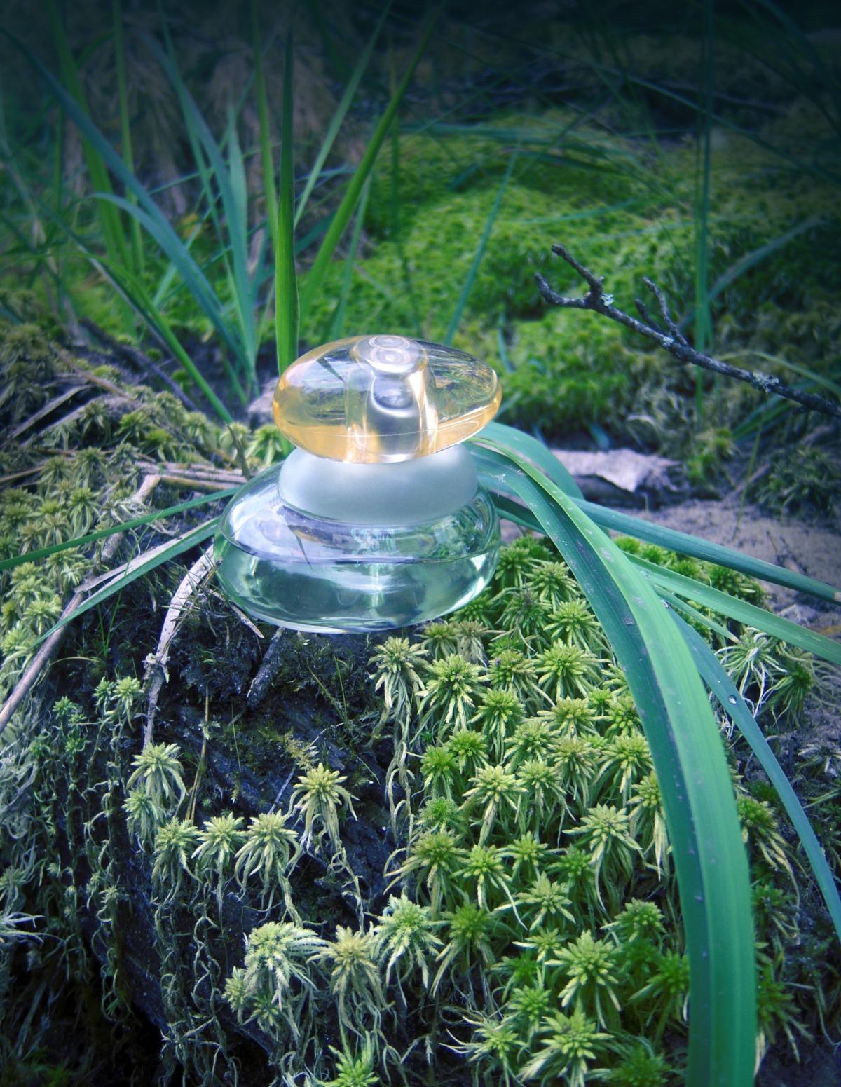 Elvie Oriflame perfume - a fragrance for women