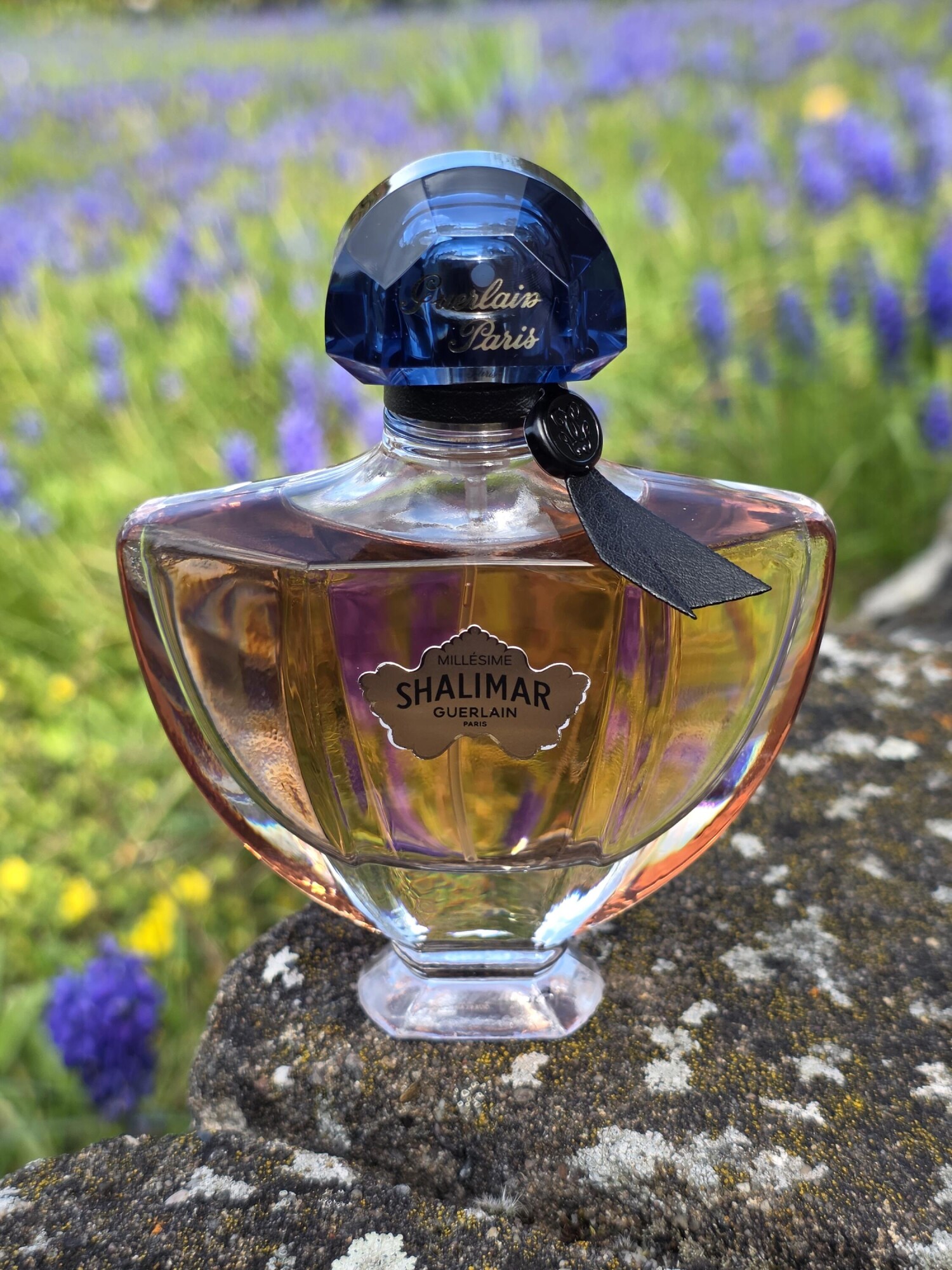 Shalimar Millesime Rose Guerlain perfume - a new fragrance for women 2026