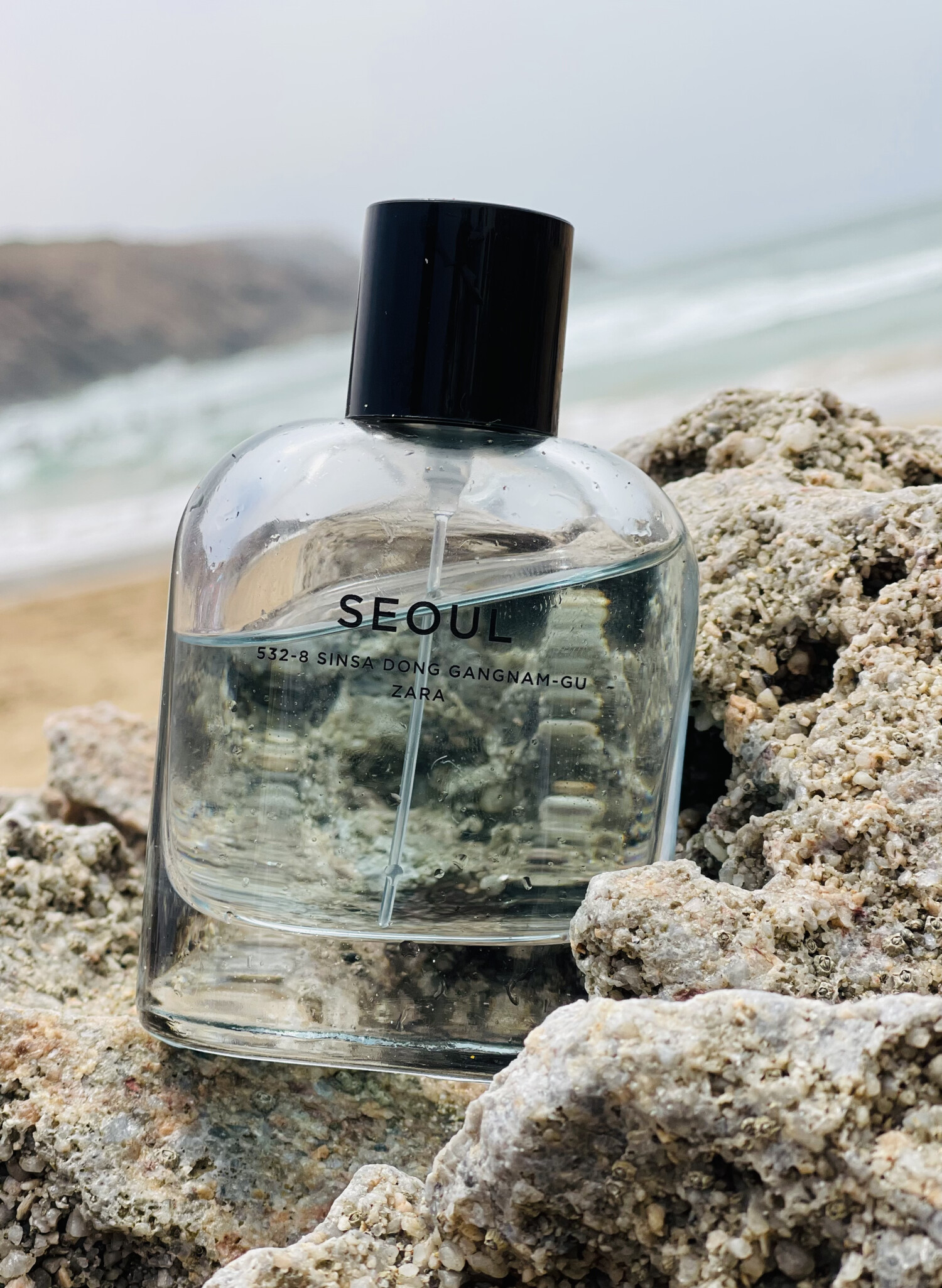 Zara Seoul 532-8 Sinsa Dong Gangnam-Gu Zara cologne - a fragrance for ...