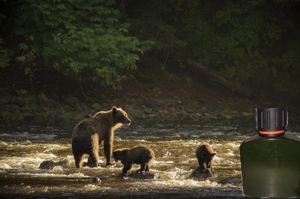 Polo Explorer Ralph Lauren cologne - a fragrance for men 2007