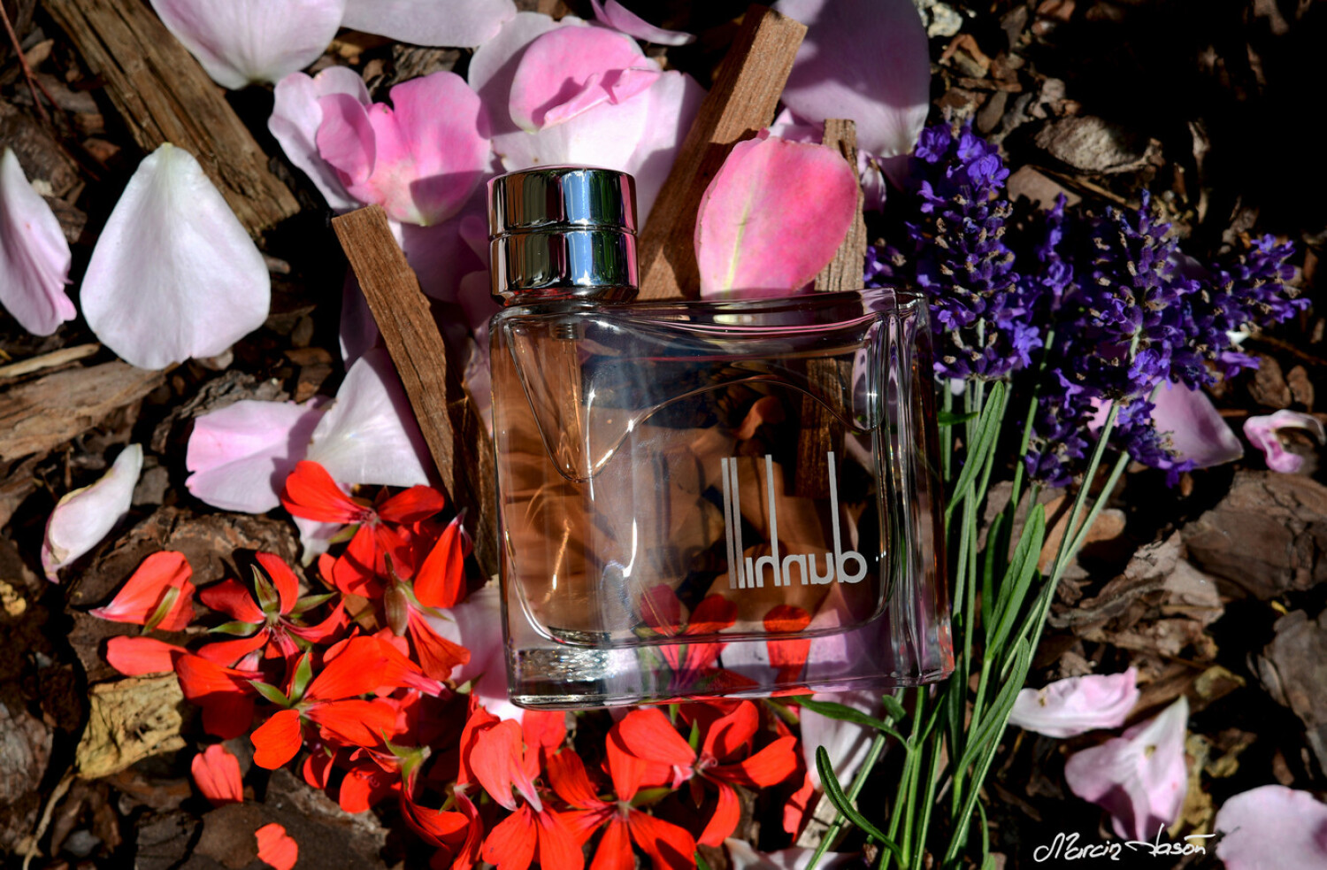 Dunhill Alfred Dunhill コロン - 2003年の男性用 フレグランス