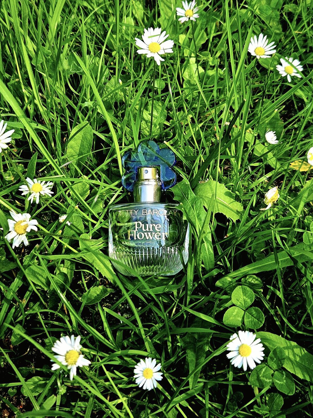 Pure Flower Eau de Toilette Betty Barclay аромат - новий аромат для жінок 2024