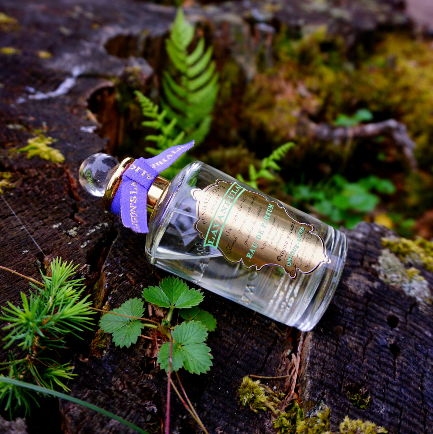 Lavandula Penhaligon's perfume - a fragrance for women and men 2002