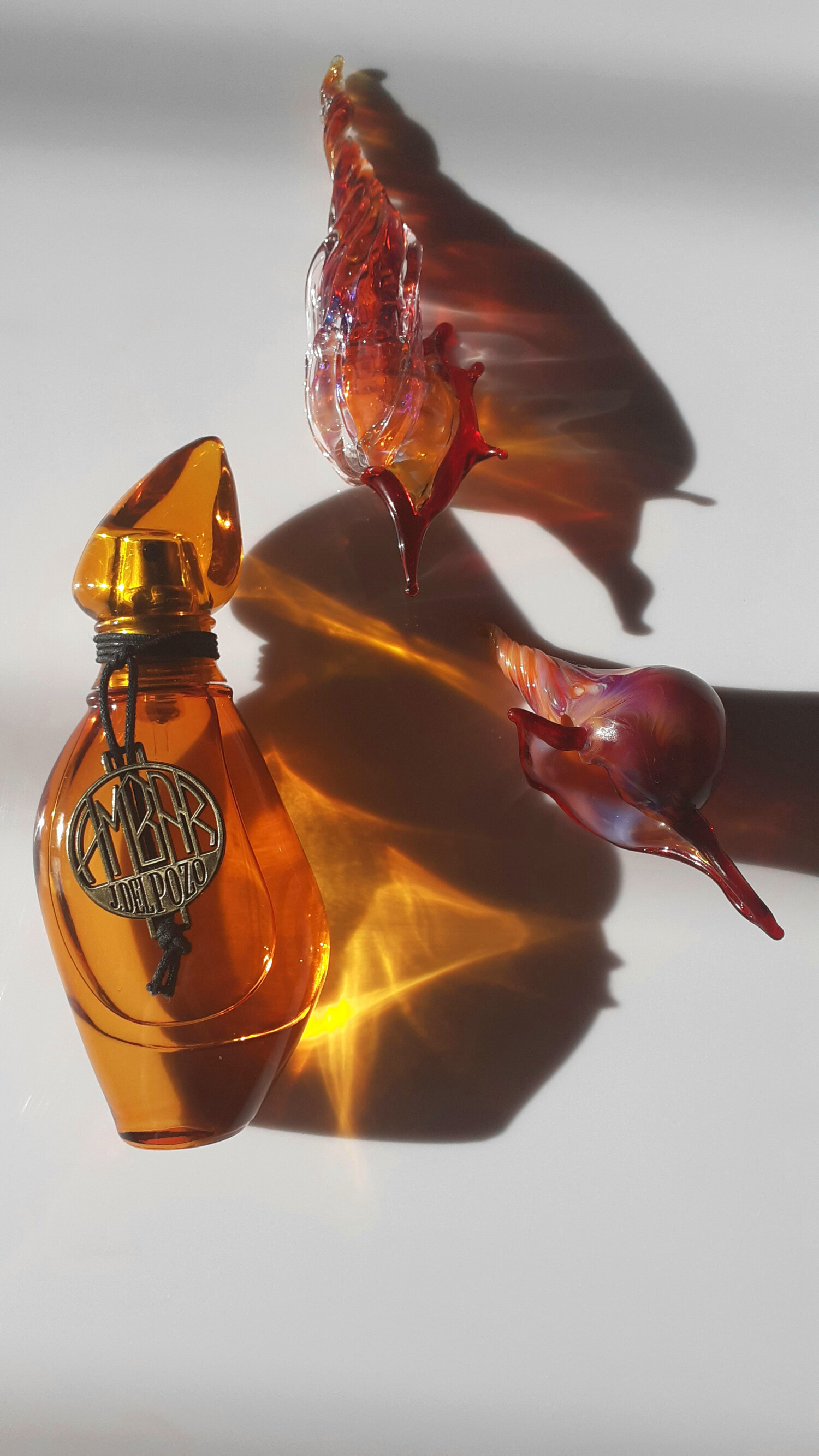 Ambar Jesus Del Pozo perfume - a fragrance for women 2010