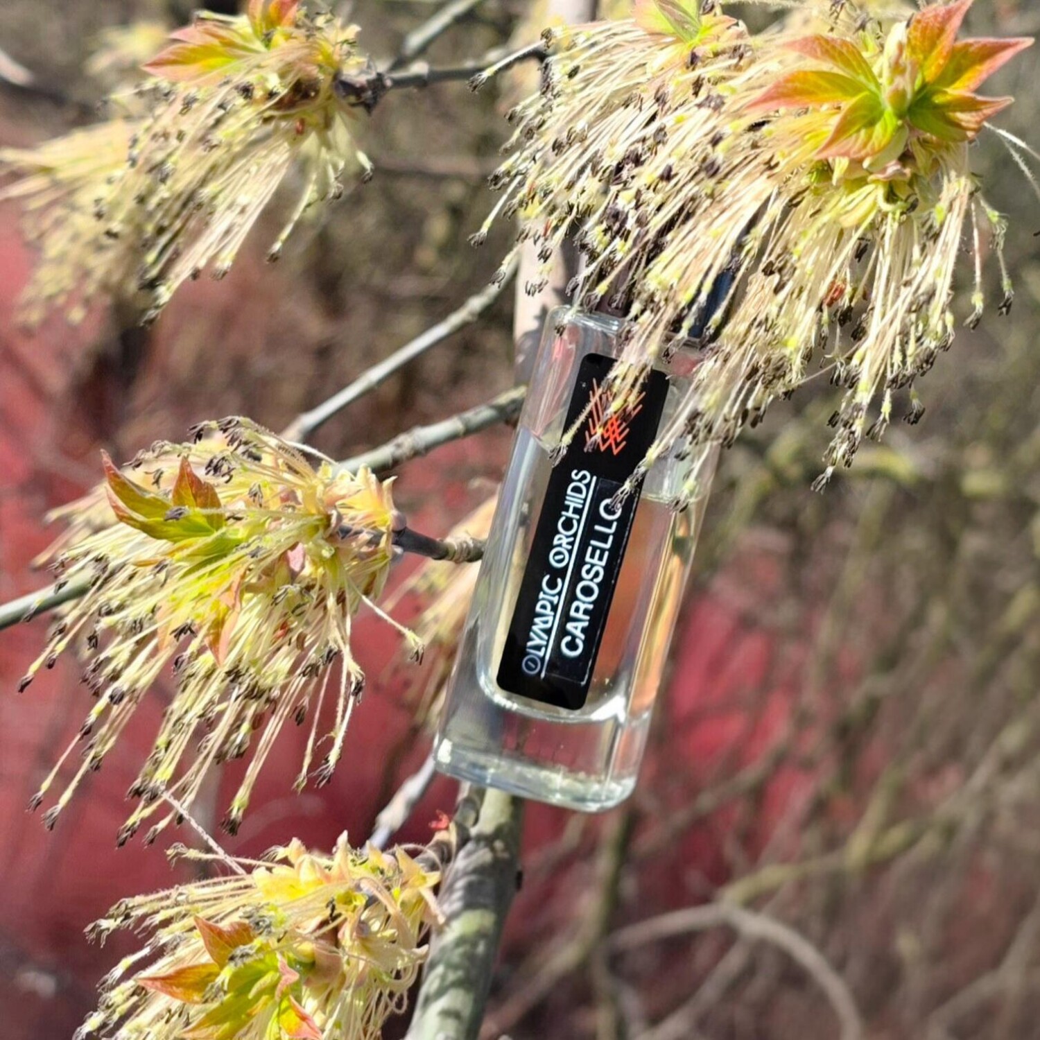 Carosello Olympic Orchids Artisan Perfumes perfume - a fragrance for ...