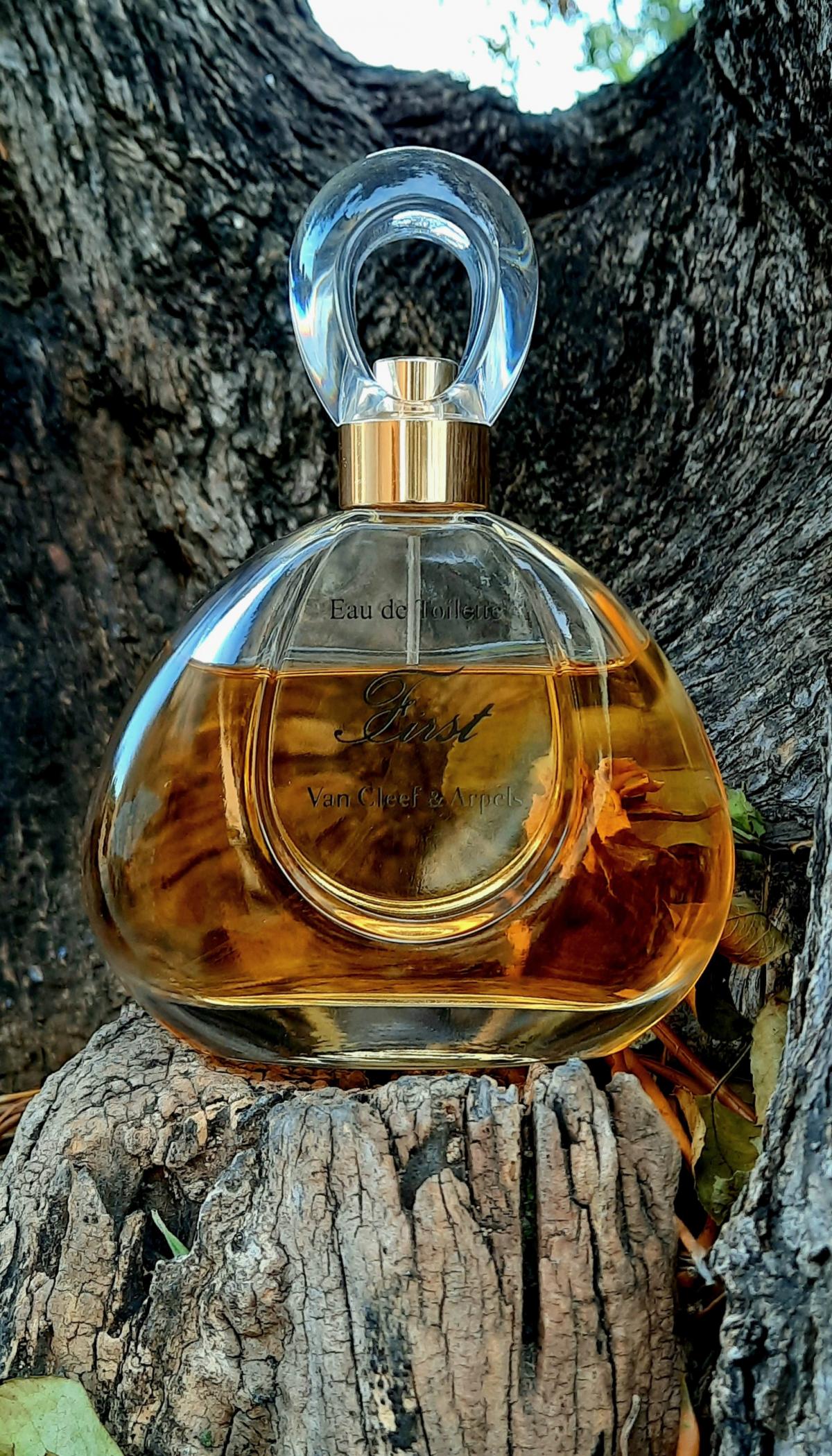 First Van Cleef & Arpels perfume - a fragrance for women 1976