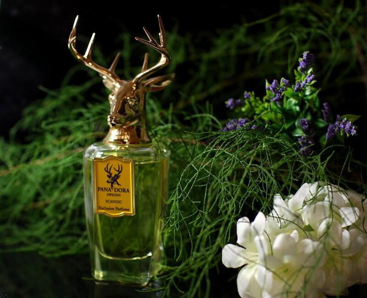Scandic Pana Dora perfume - a new fragrance for women and men 2024