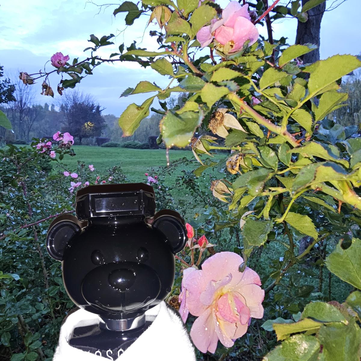 Toy Boy Moschino cologne - a fragrance for men 2019