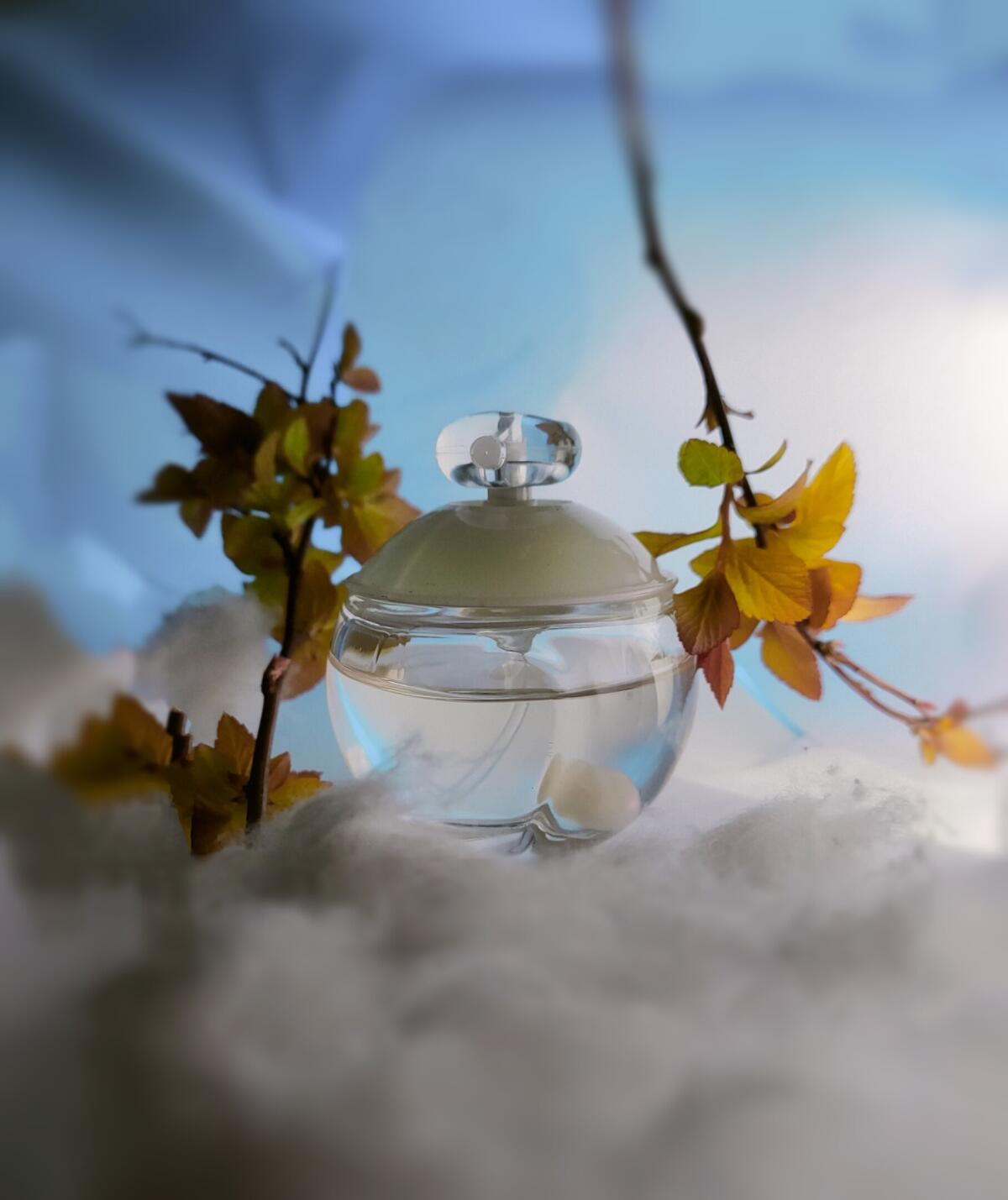 Noa Cacharel perfume - a fragrance for women 1998