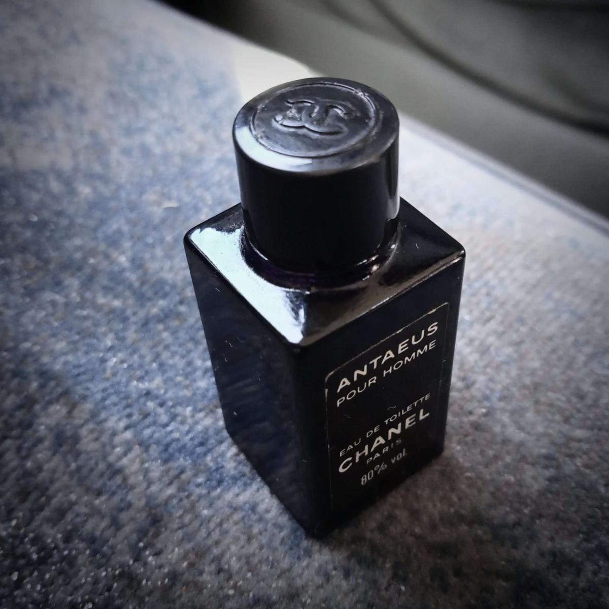 Antaeus Chanel cologne - a fragrance for men 1981