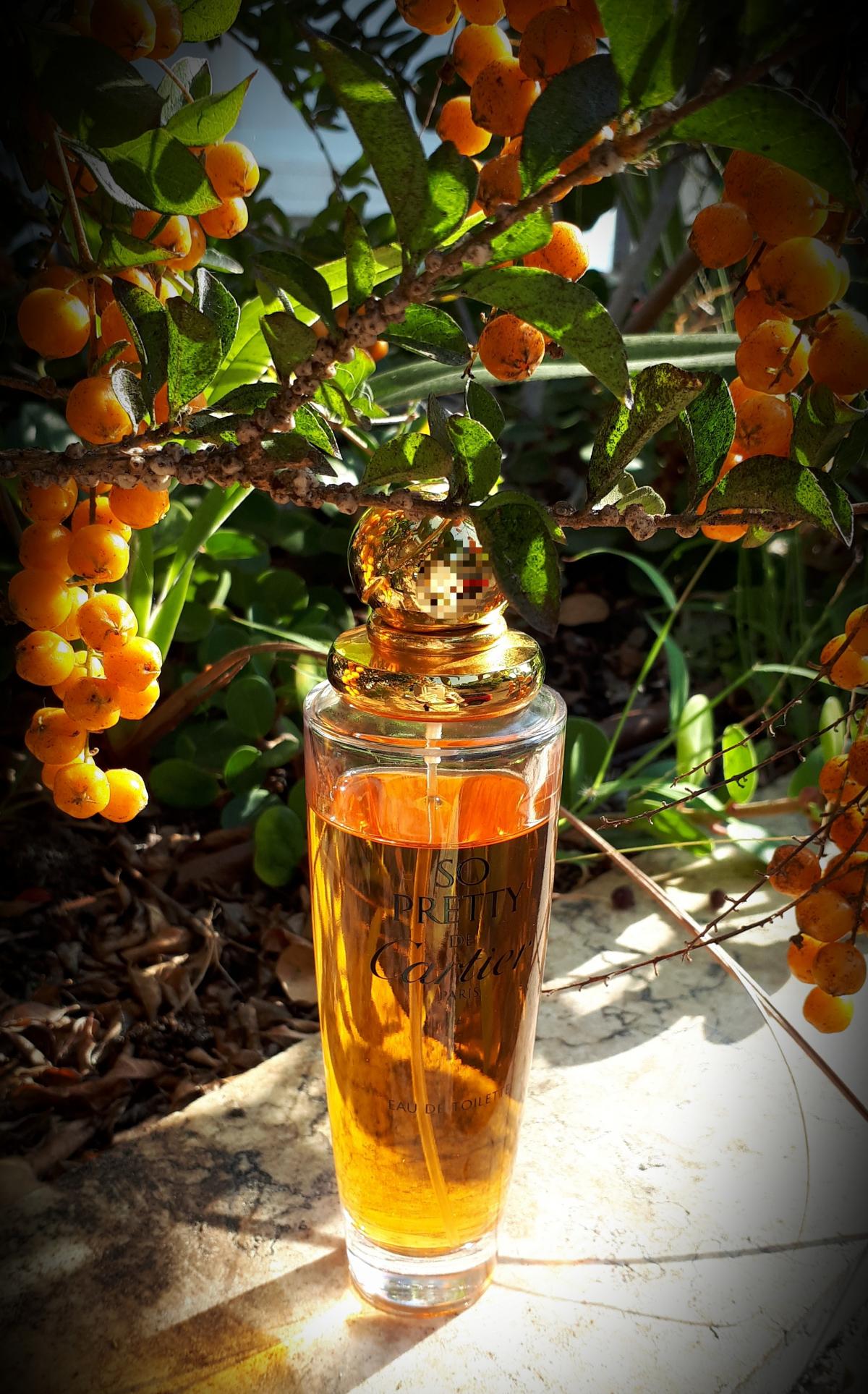 So Pretty Cartier perfume - a fragrance for women 1995