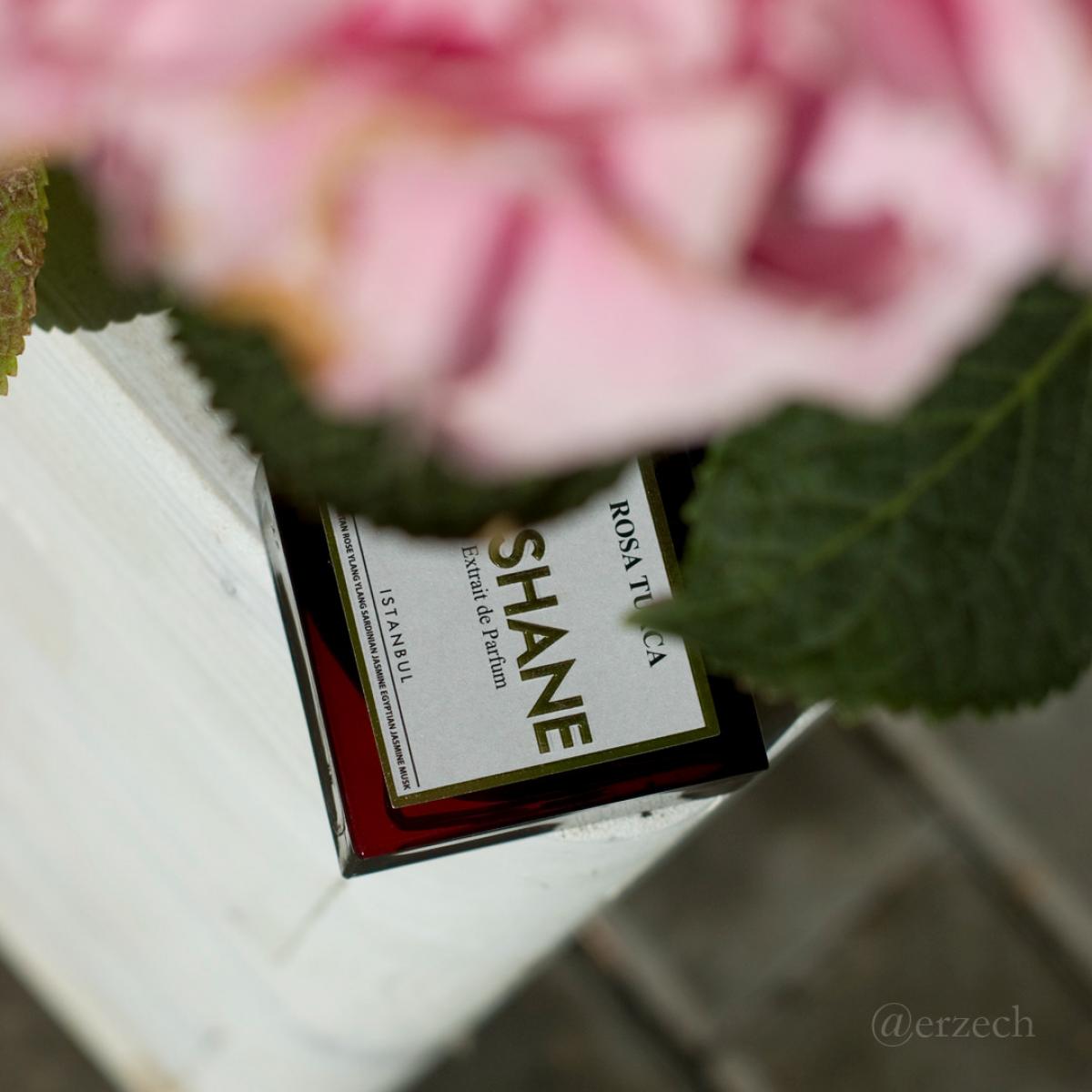 Rosa Turca Nishane perfume - a fragrance for women and men 2014