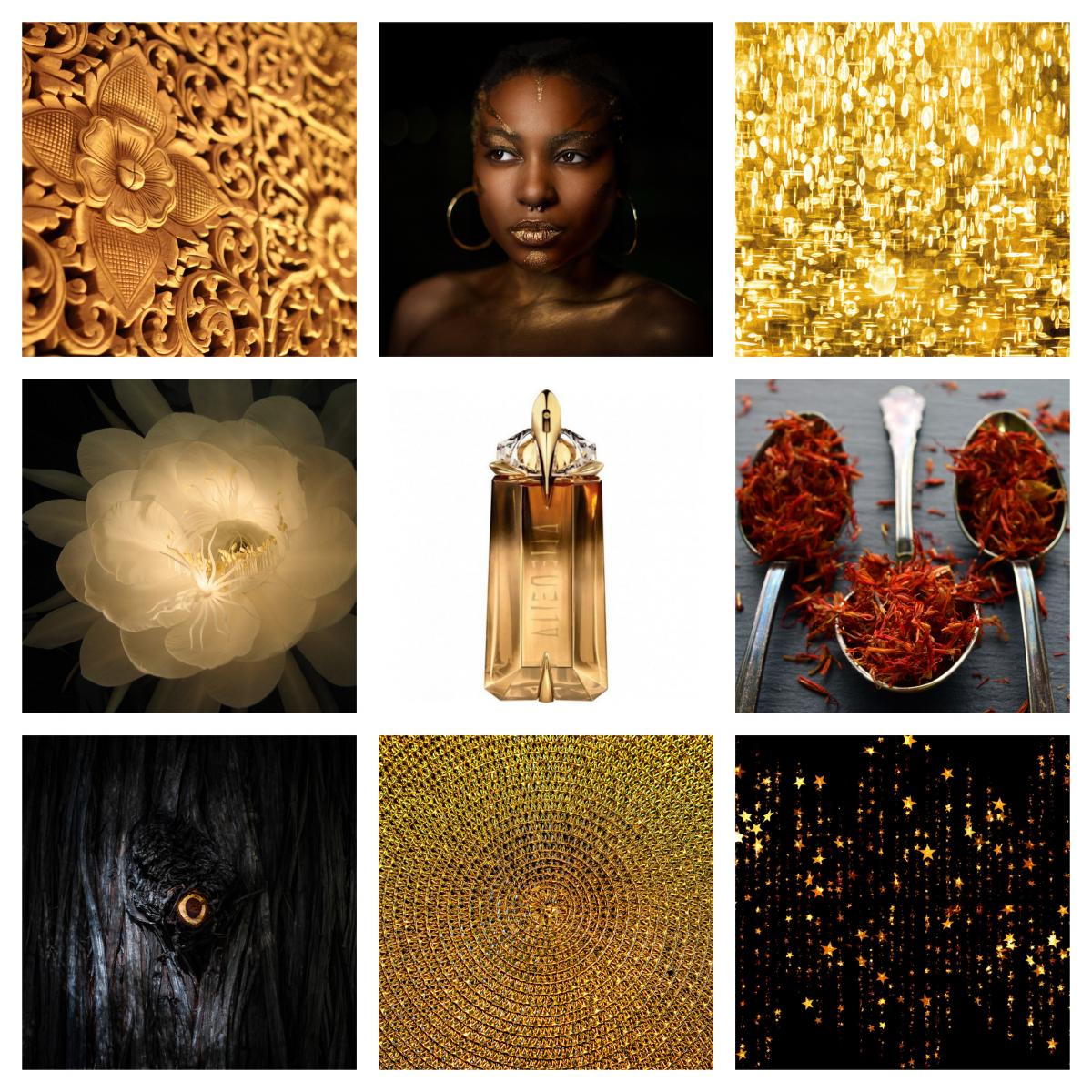 Alien Oud Majestueux Mugler perfume - a fragrance for women 2015