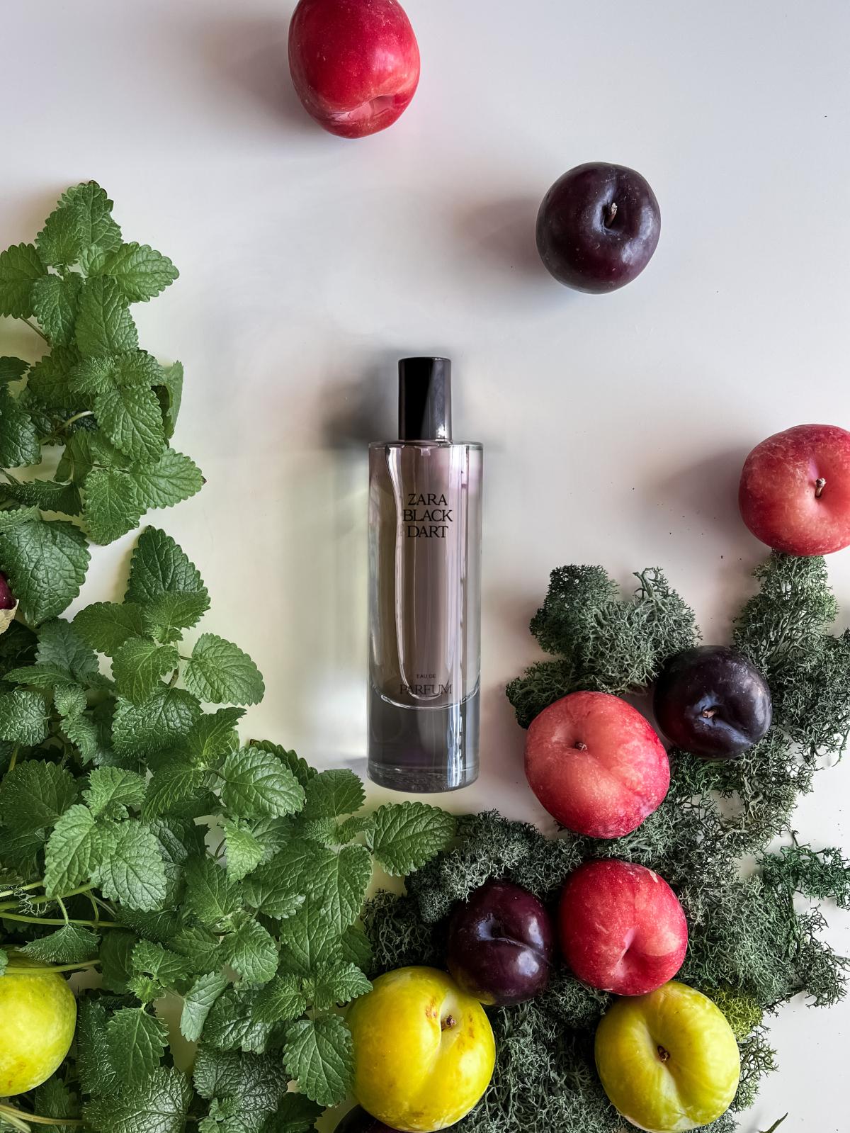 Black Dart Zara perfume - a fragrance for women and men 2023