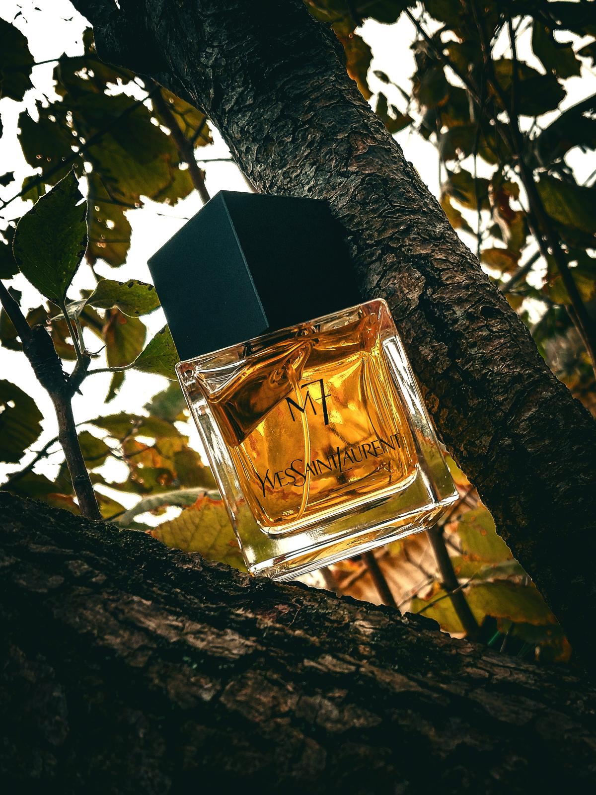 M7 Yves Saint Laurent cologne - a fragrance for men 2002