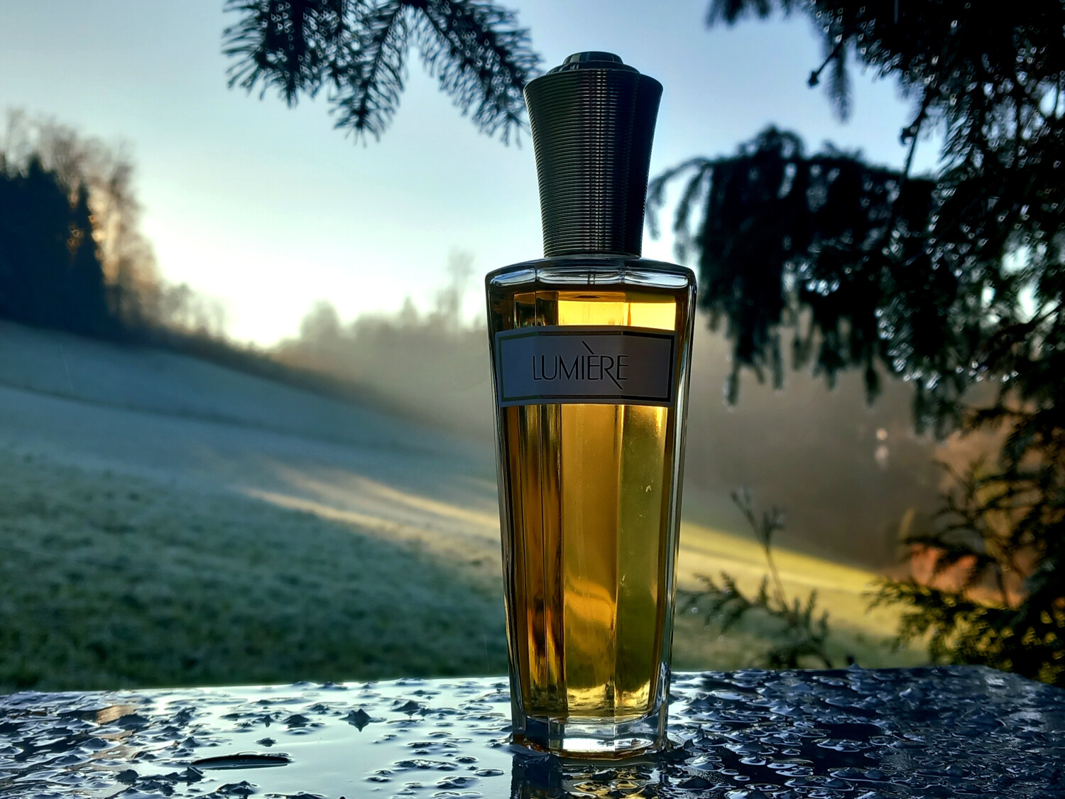Lumiere EDT 2017 Edition Rochas perfume - a fragrance for women 2017