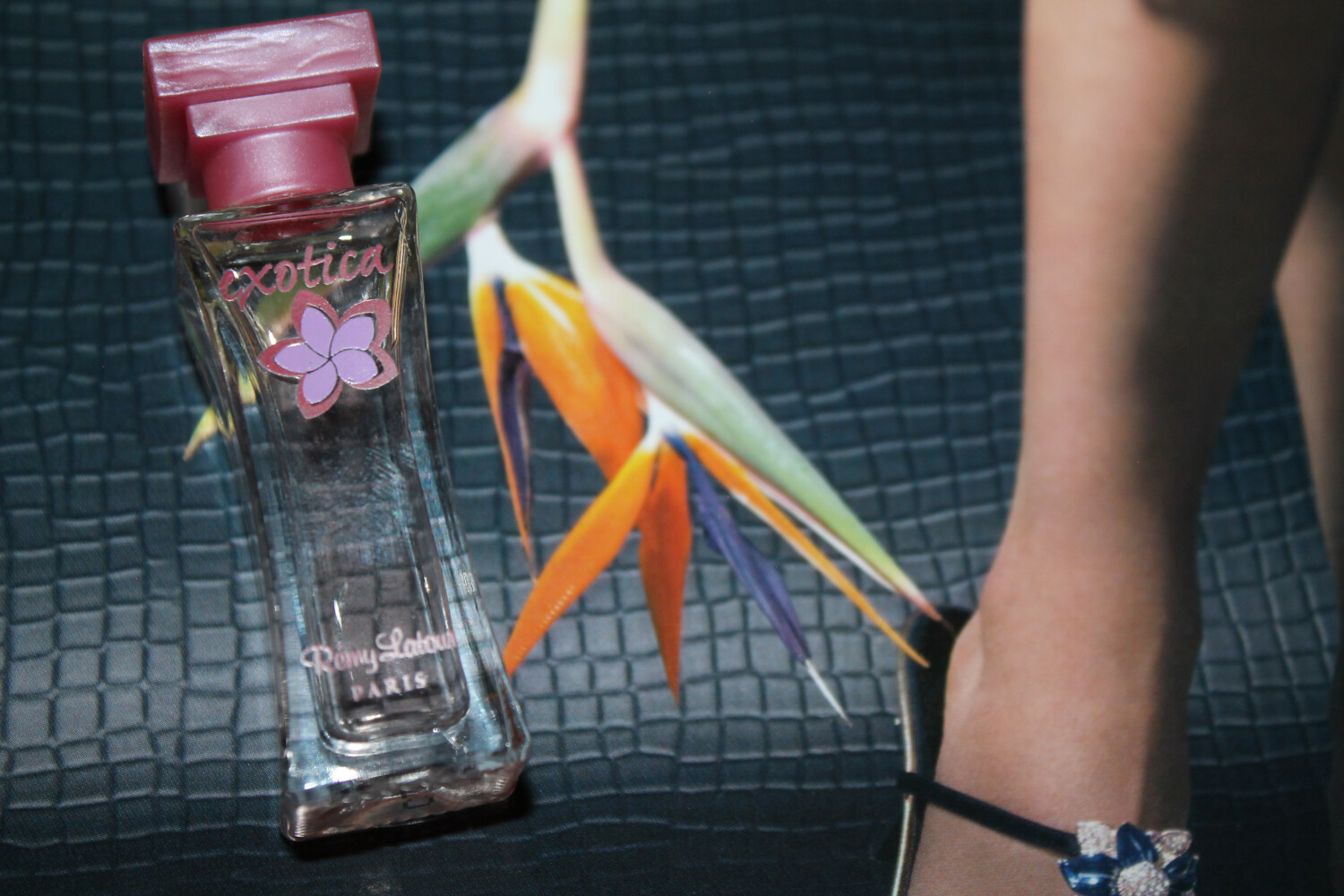 Exotica Rémy Latour perfume - a fragrance for women