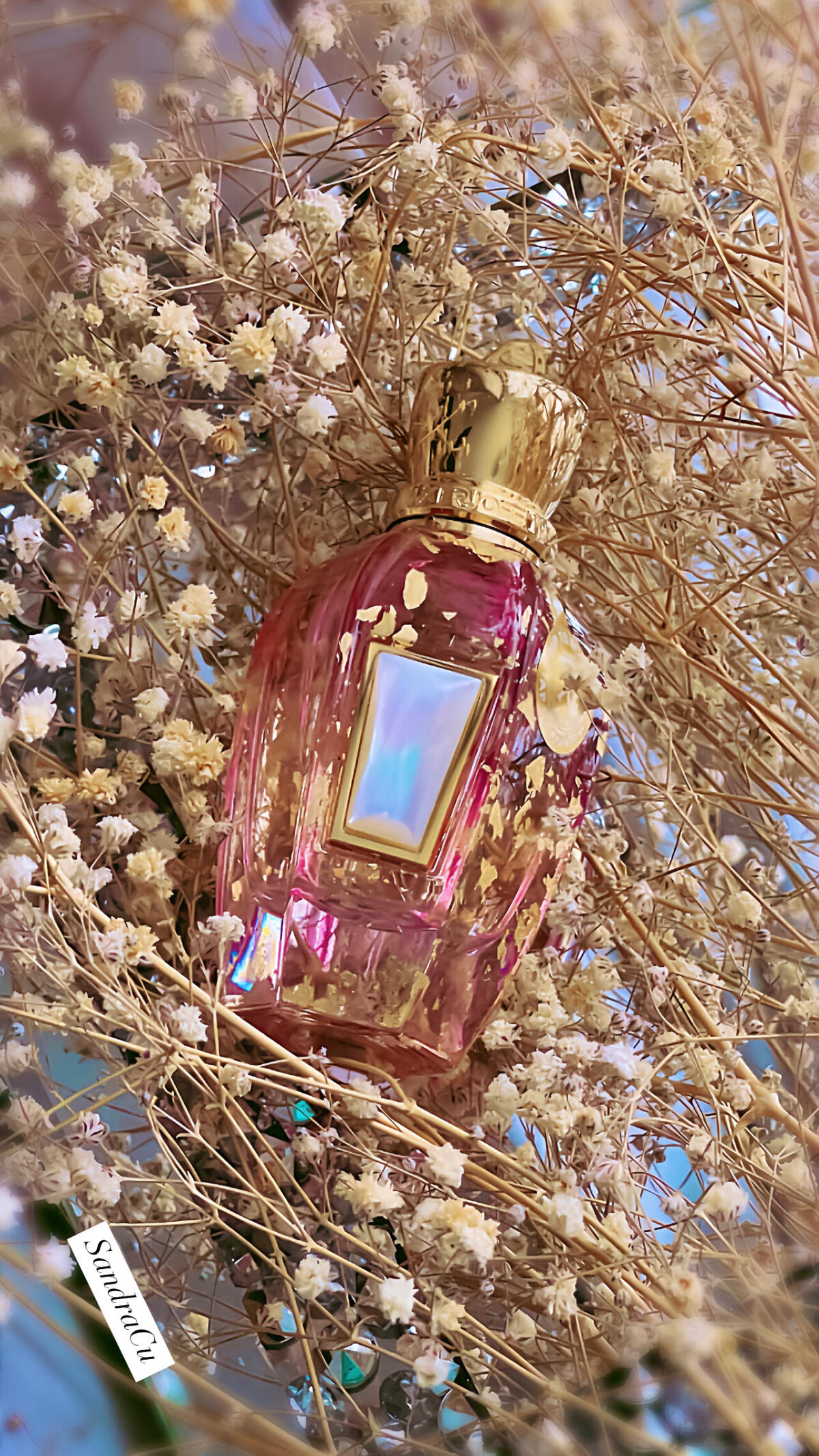 Elle Anniversary Xerjoff perfume - a fragrance for women 2023