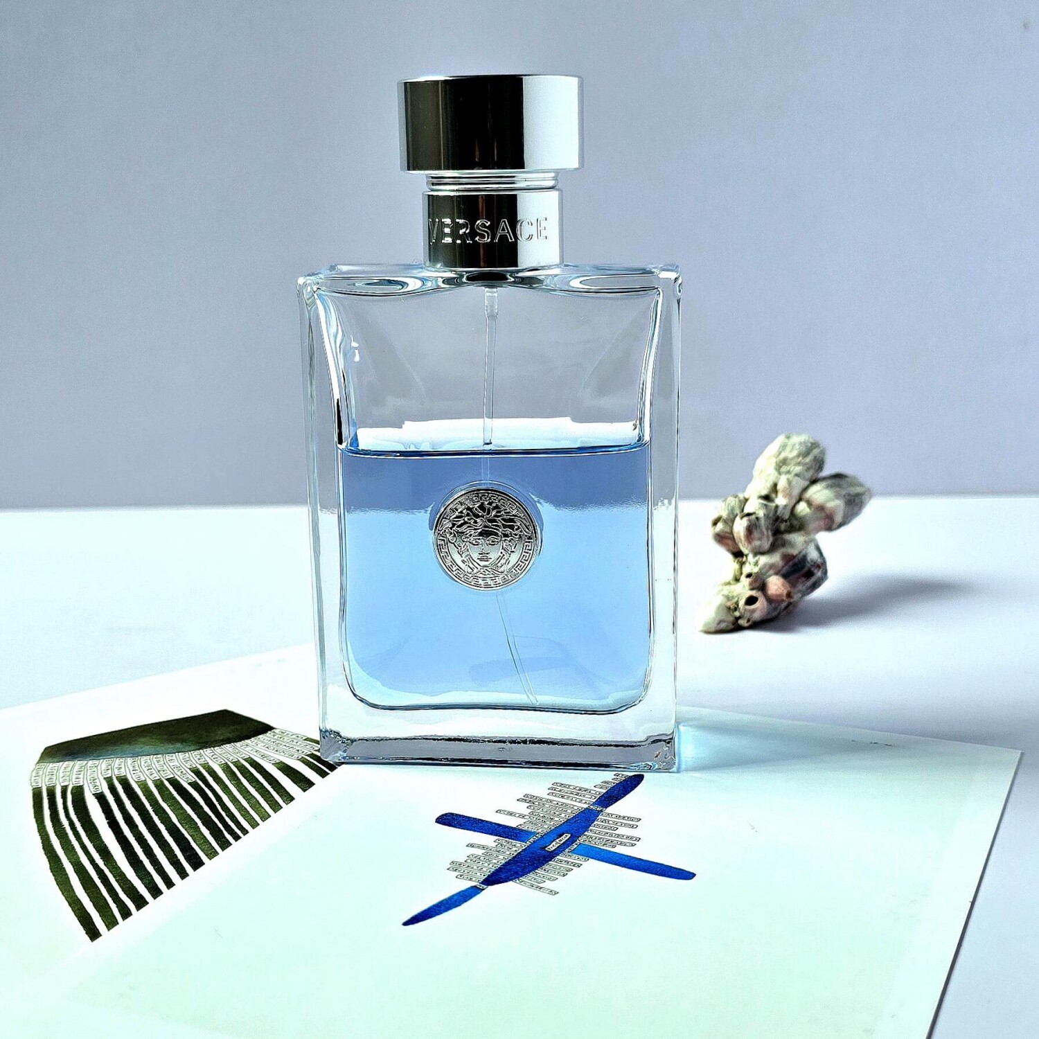 Versace Pour Homme Versace cologne - a fragrance for men 2008