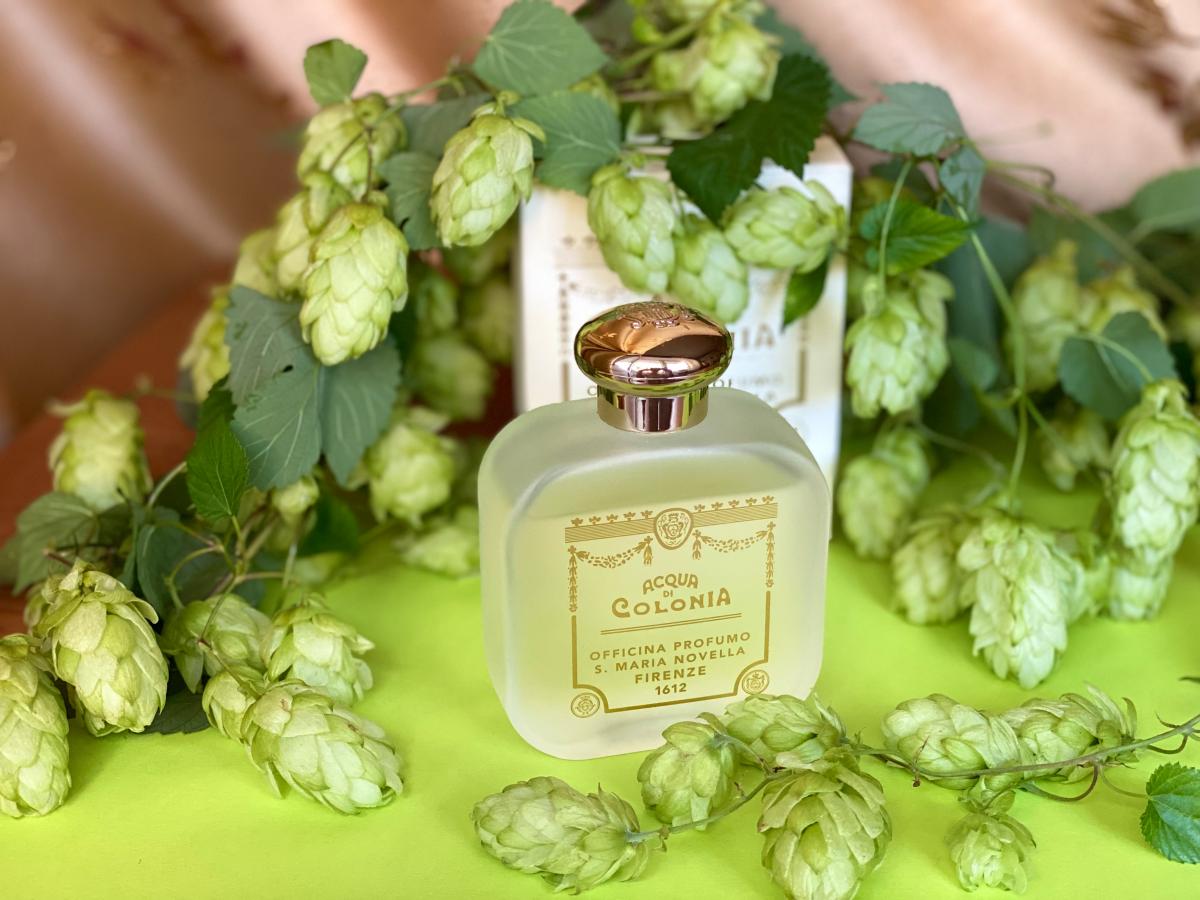 Verbena Santa Maria Novella perfume - a fragrance for women and men