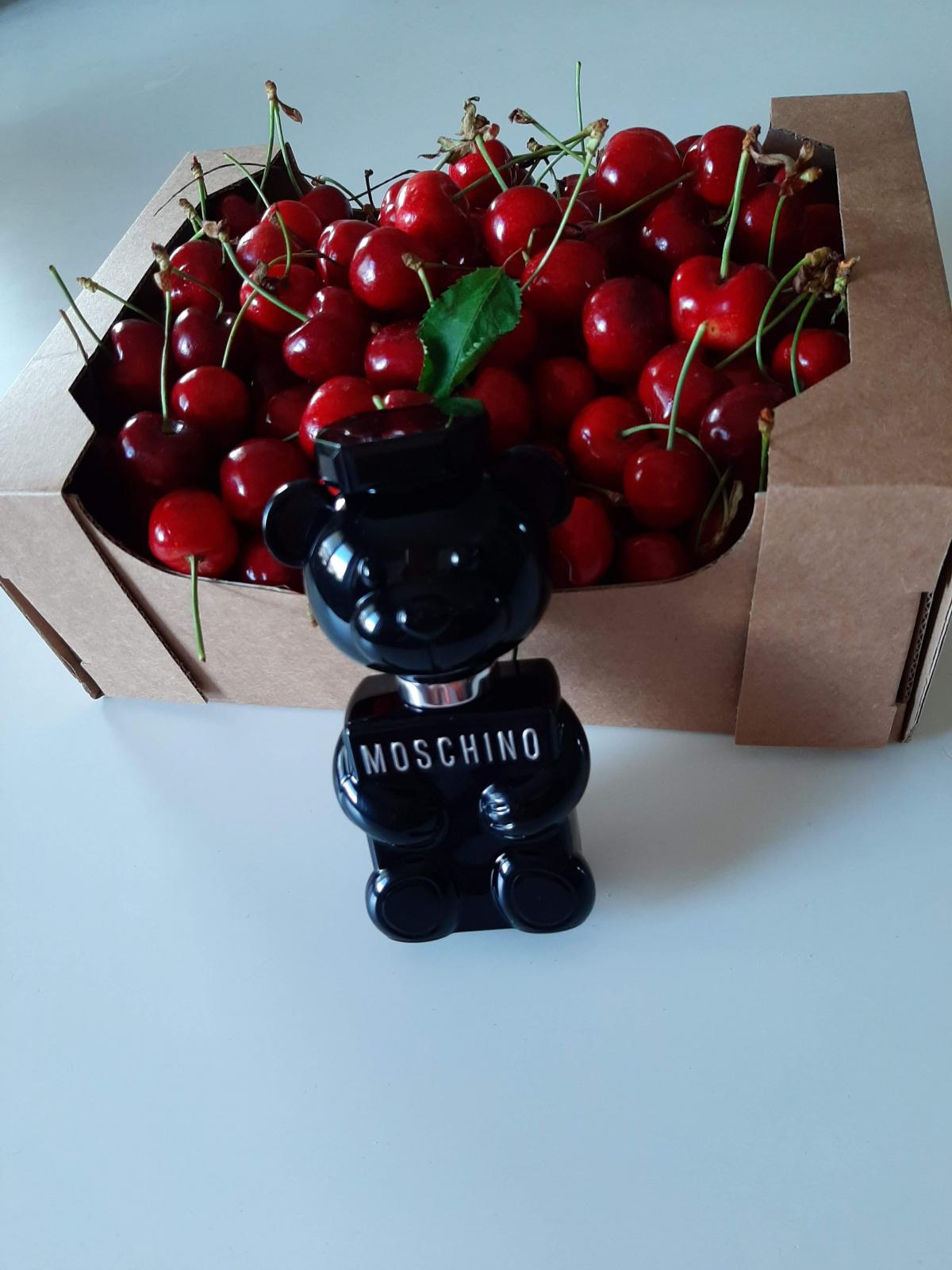 Toy Boy Moschino cologne - a new fragrance for men 2019