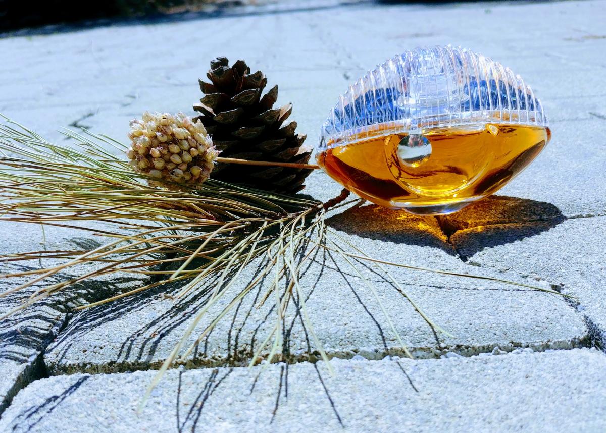 Kenzo World Power Kenzo perfume - a fragrance for women 2019