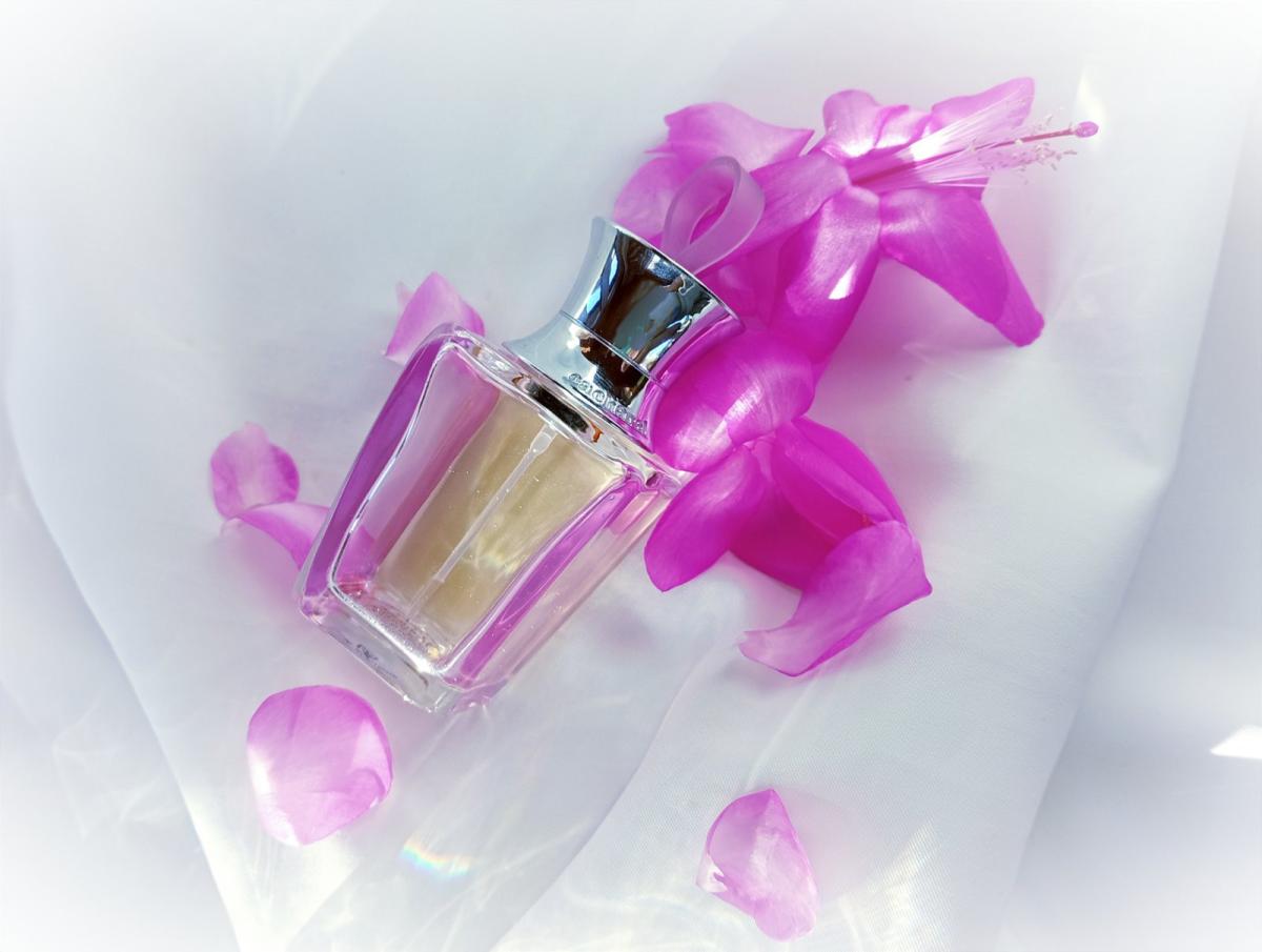 Promesse Cacharel perfume - a fragrance for women 2005