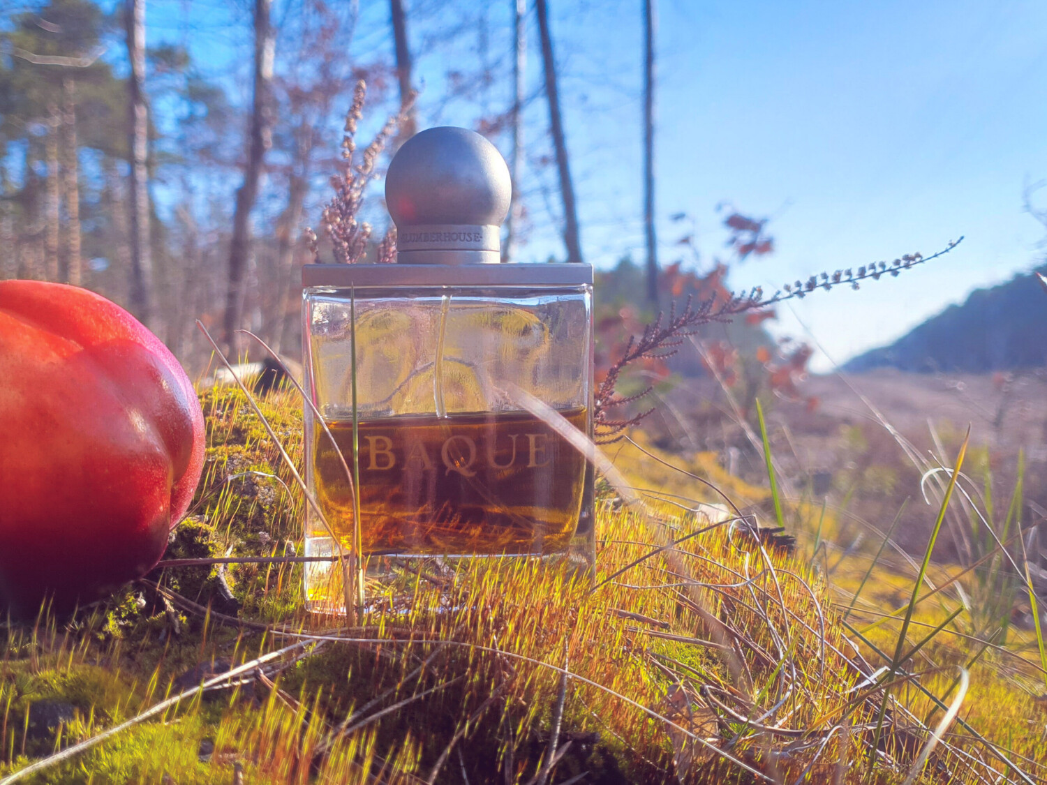 Baque Slumberhouse perfume - a fragrance for women and men 2012