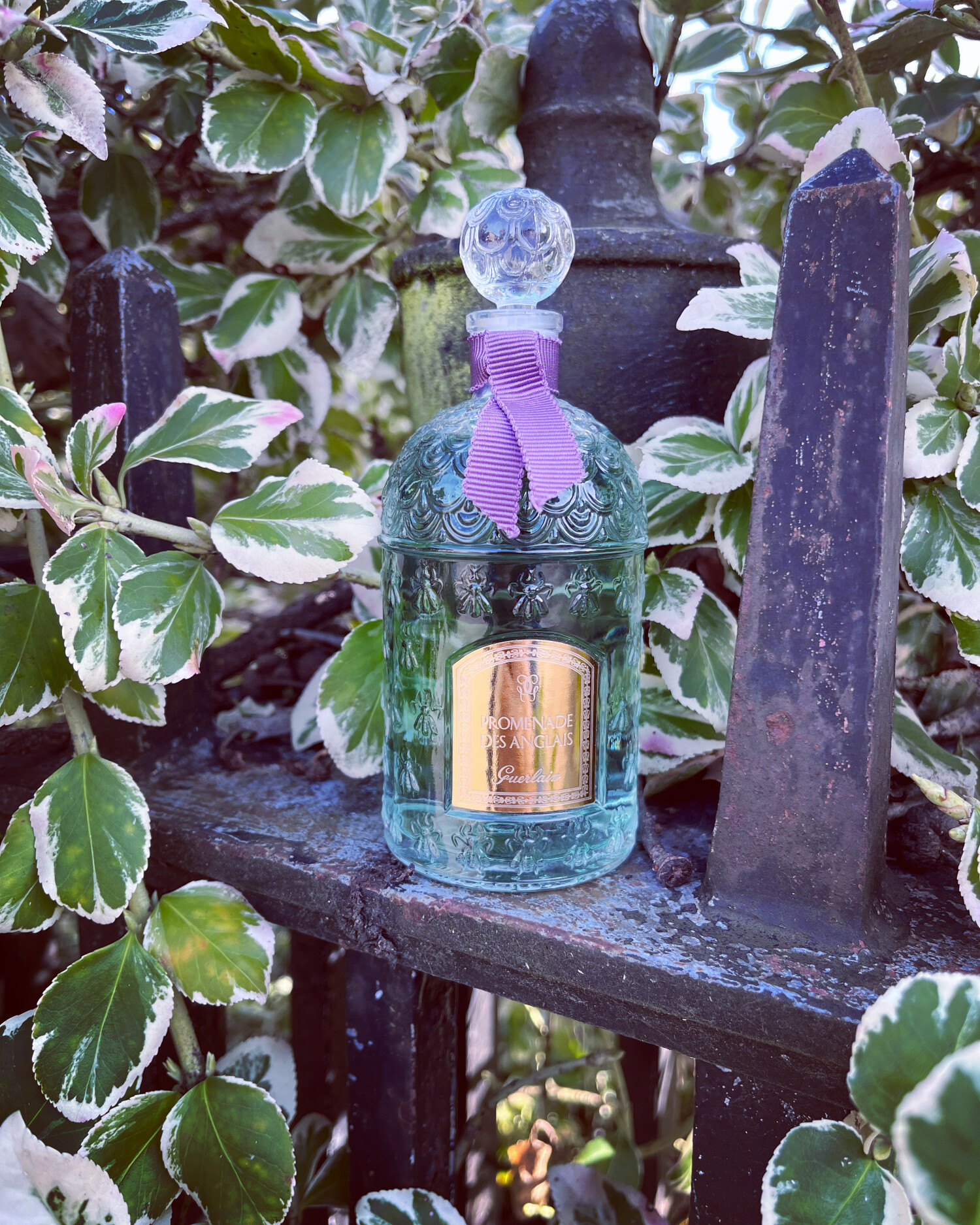 Promenade des Anglais Guerlain perfume - a fragrance for women 2016