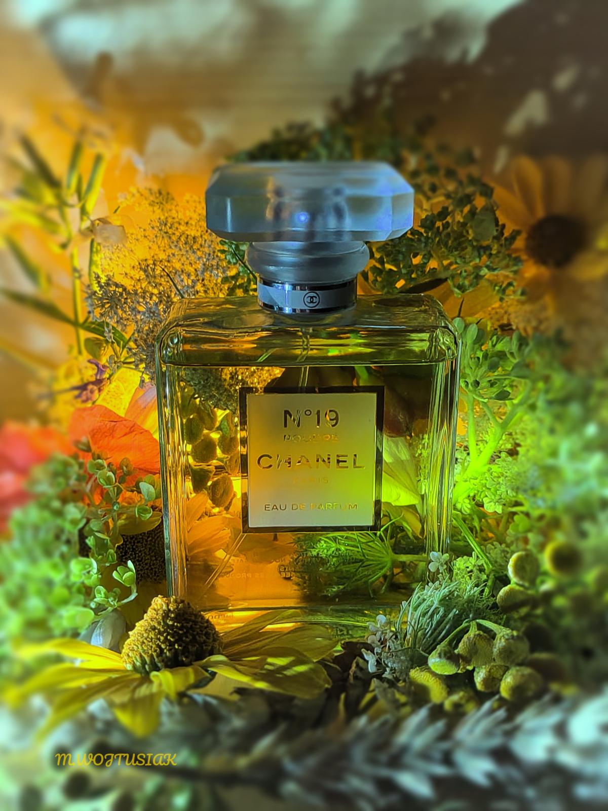 Chanel No 19 Poudre Chanel perfume - a fragrance for women 2011