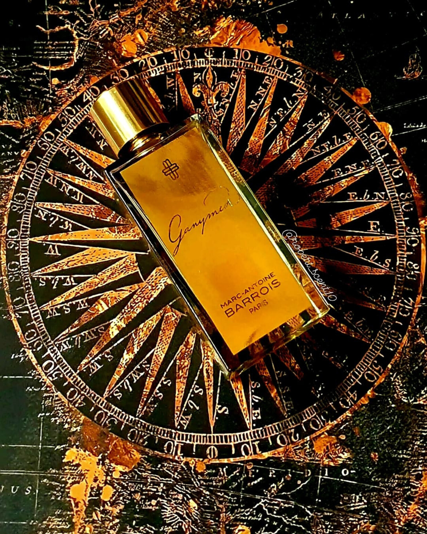 Ganymede Marc-Antoine Barrois perfume - a fragrance for women and men 2019