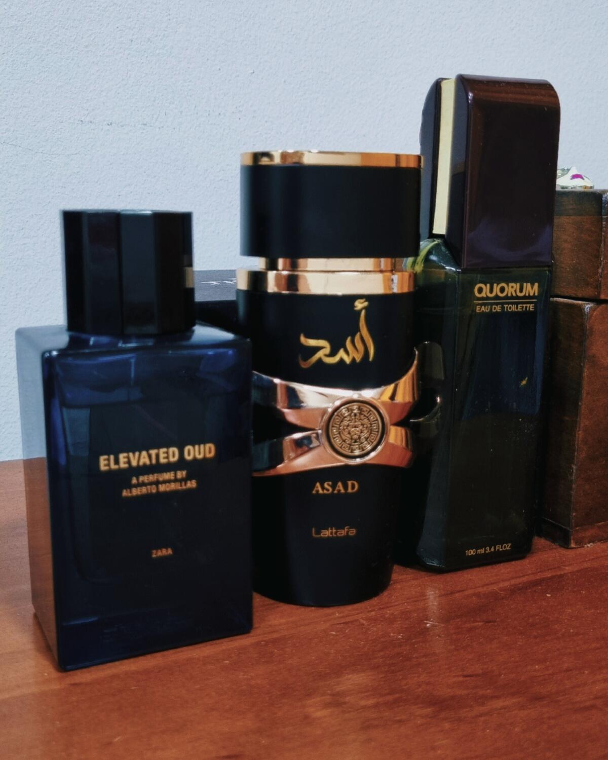 Quorum Antonio Puig cologne - a fragrance for men 1981