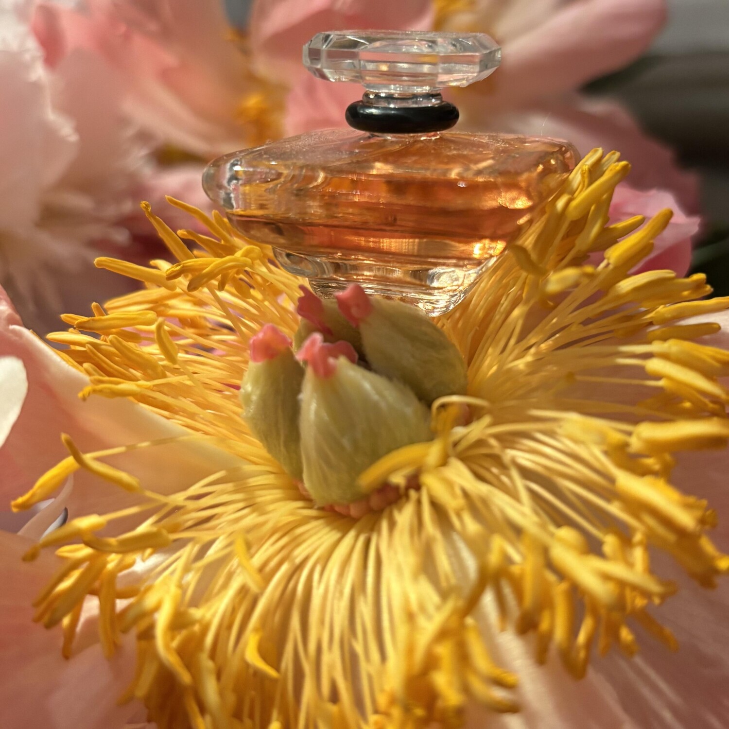 Trésor Lancôme perfume - a fragrance for women 1990