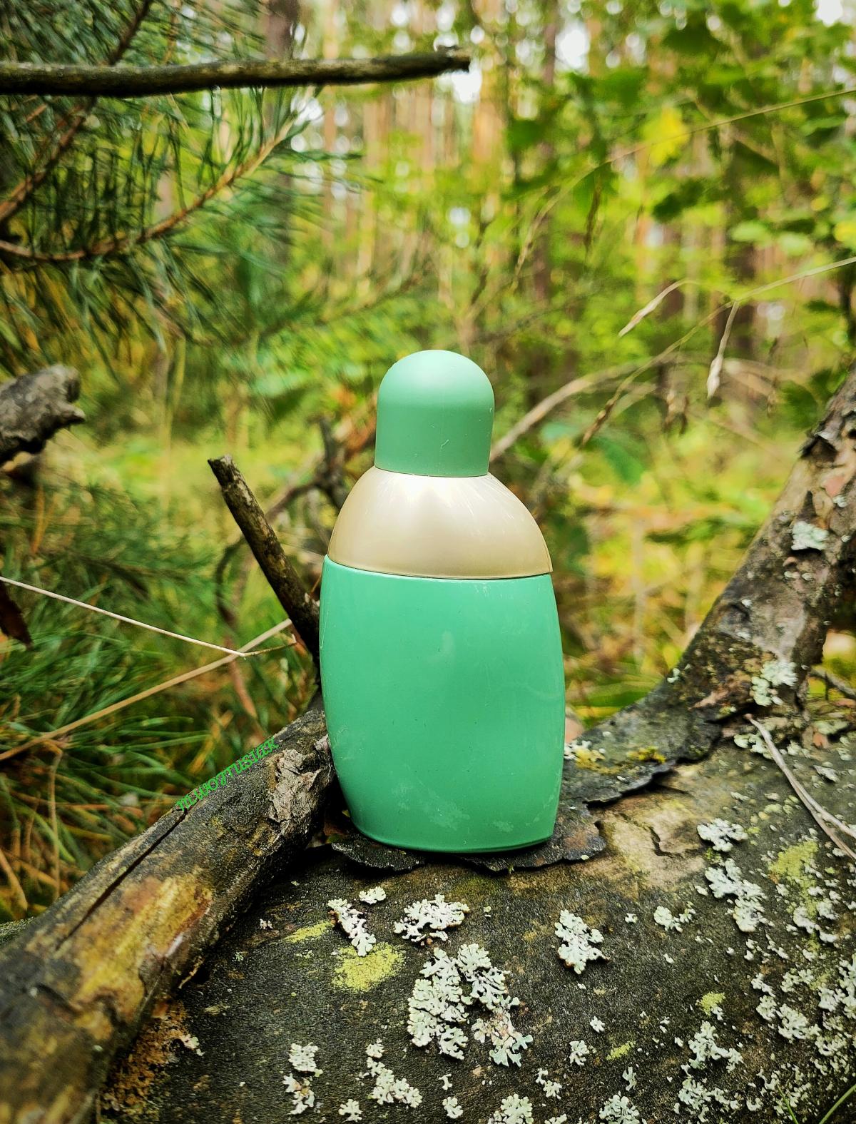 Eden Cacharel perfume - a fragrance for women 1994