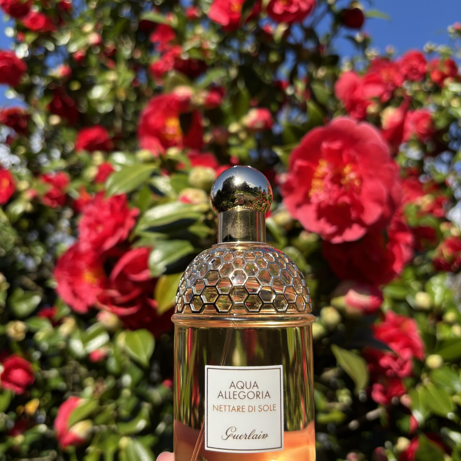 Aqua Allegoria Nettare di Sole Guerlain perfume - a fragrance for women ...